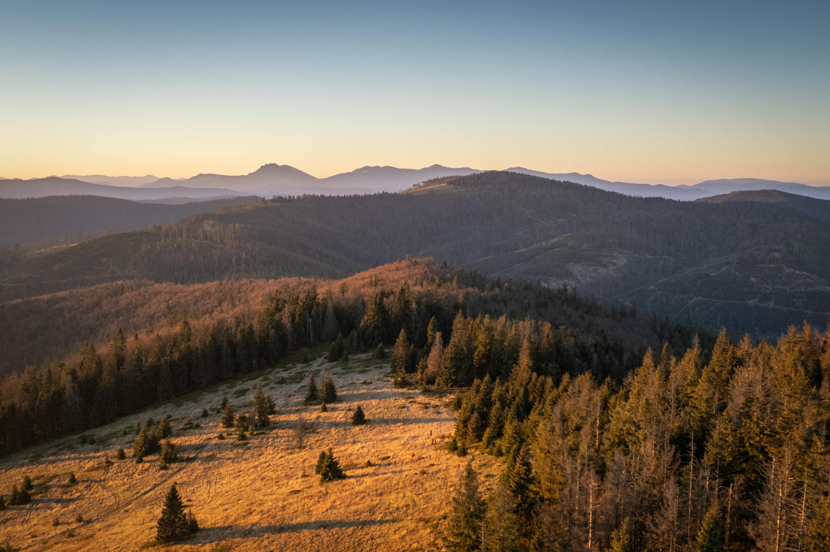 Woods on Hills Drone Shot · Free Stock Photo