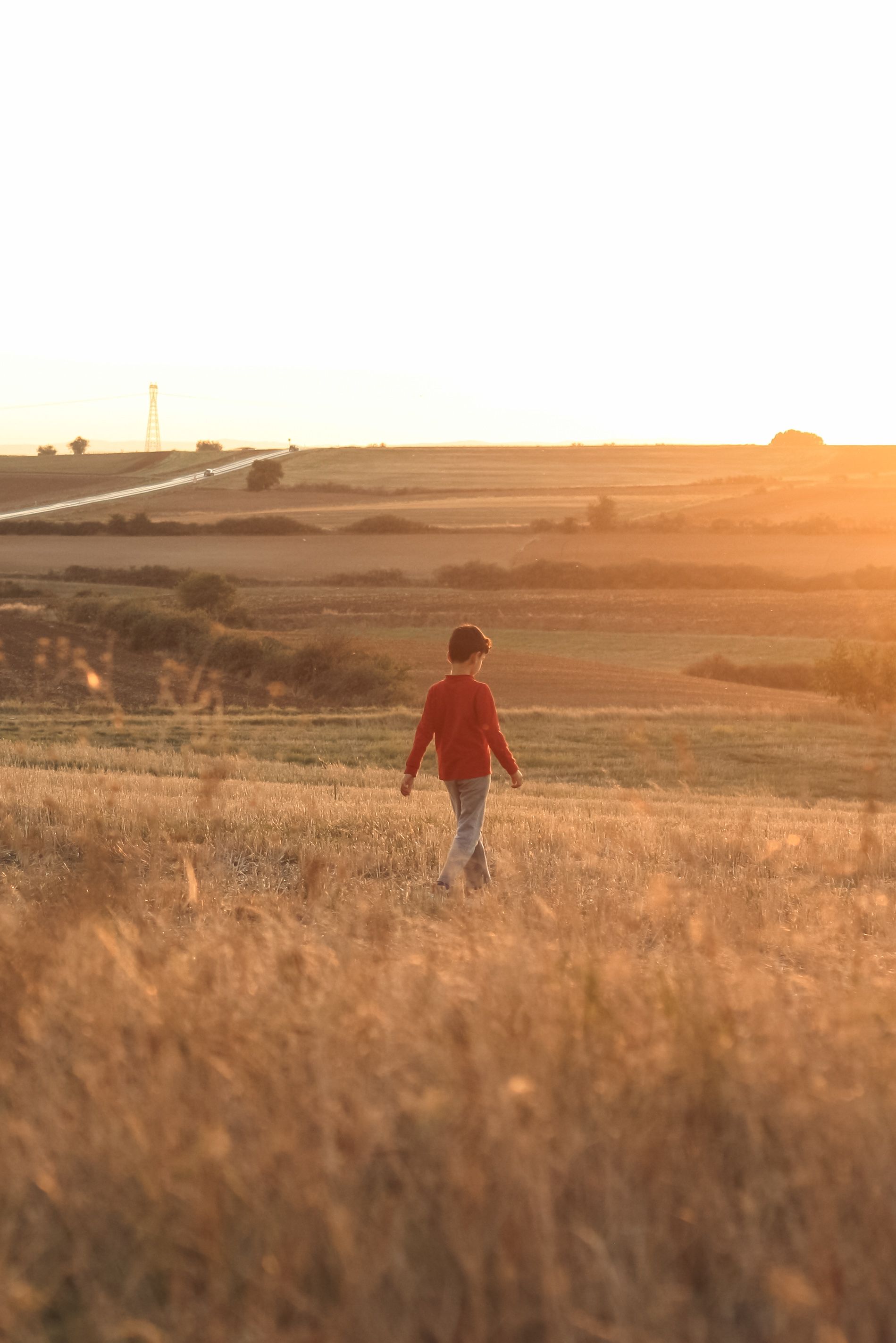Boy Walking In Sunset Photos, Download The BEST Free Boy Walking In ...