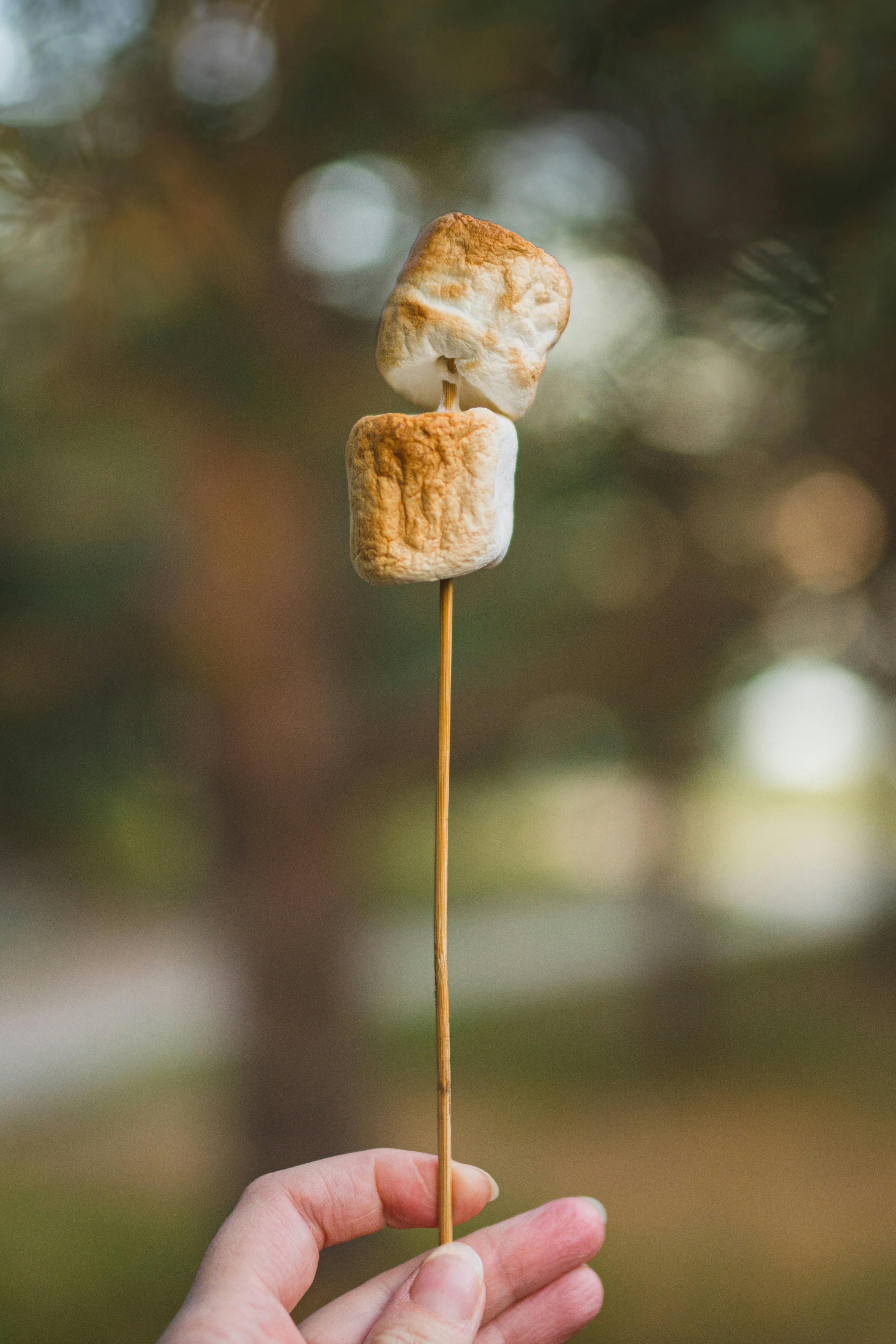 Woman Fingers Holding Stick with Marshmallows · Free Stock Photo