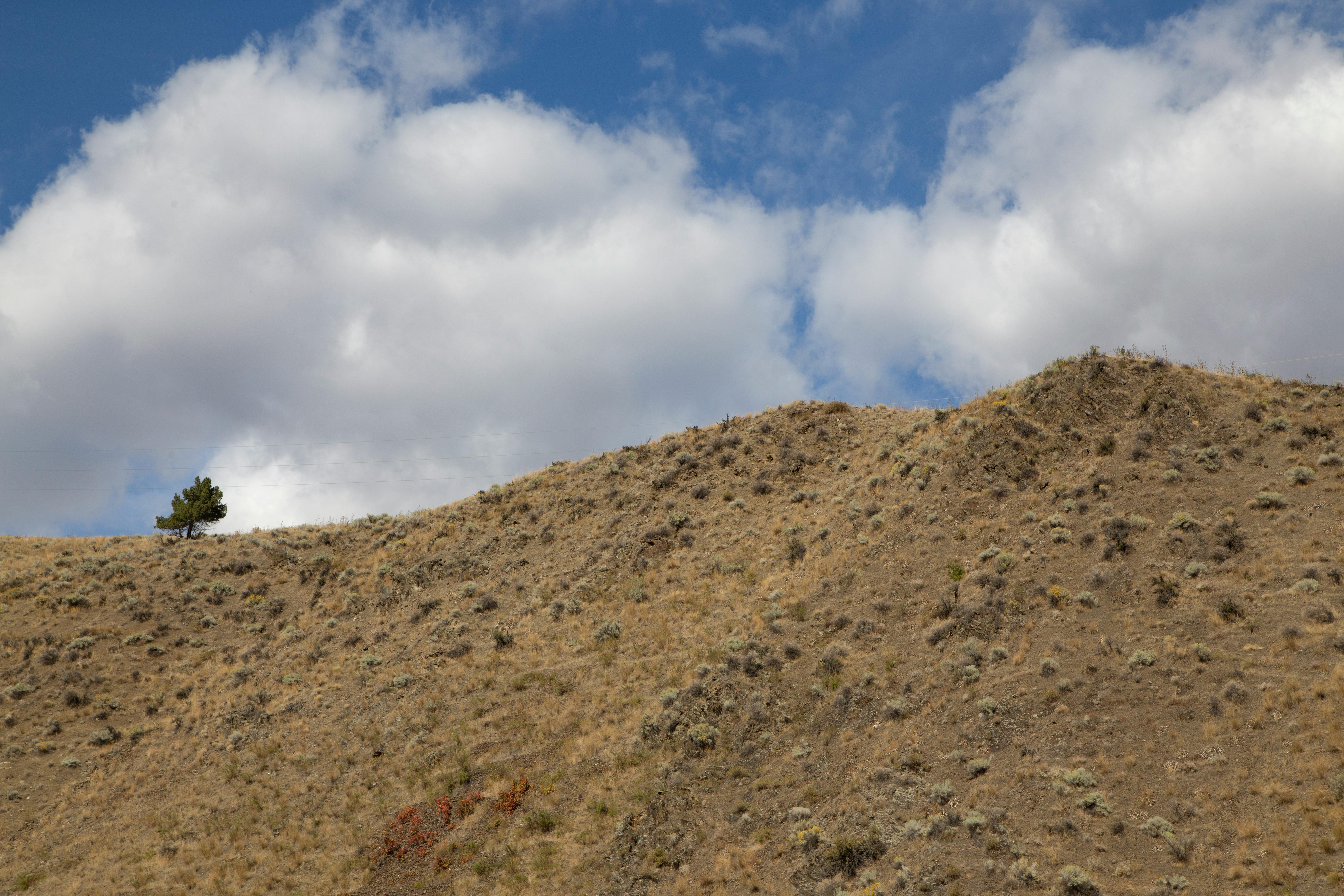 Person Riding Bike Making Trek on Thin Air · Free Stock Photo