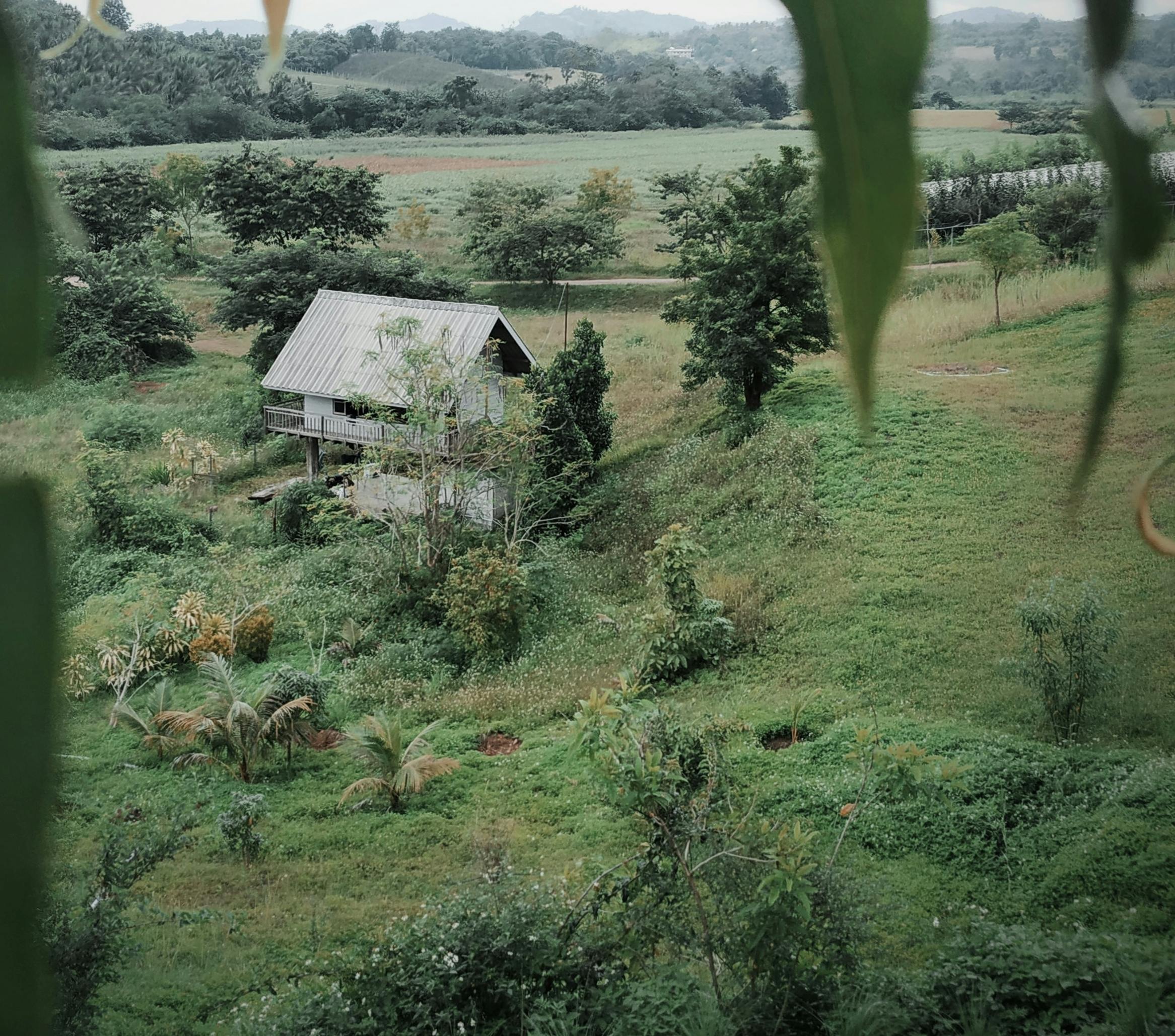 Nay Shine - Photography