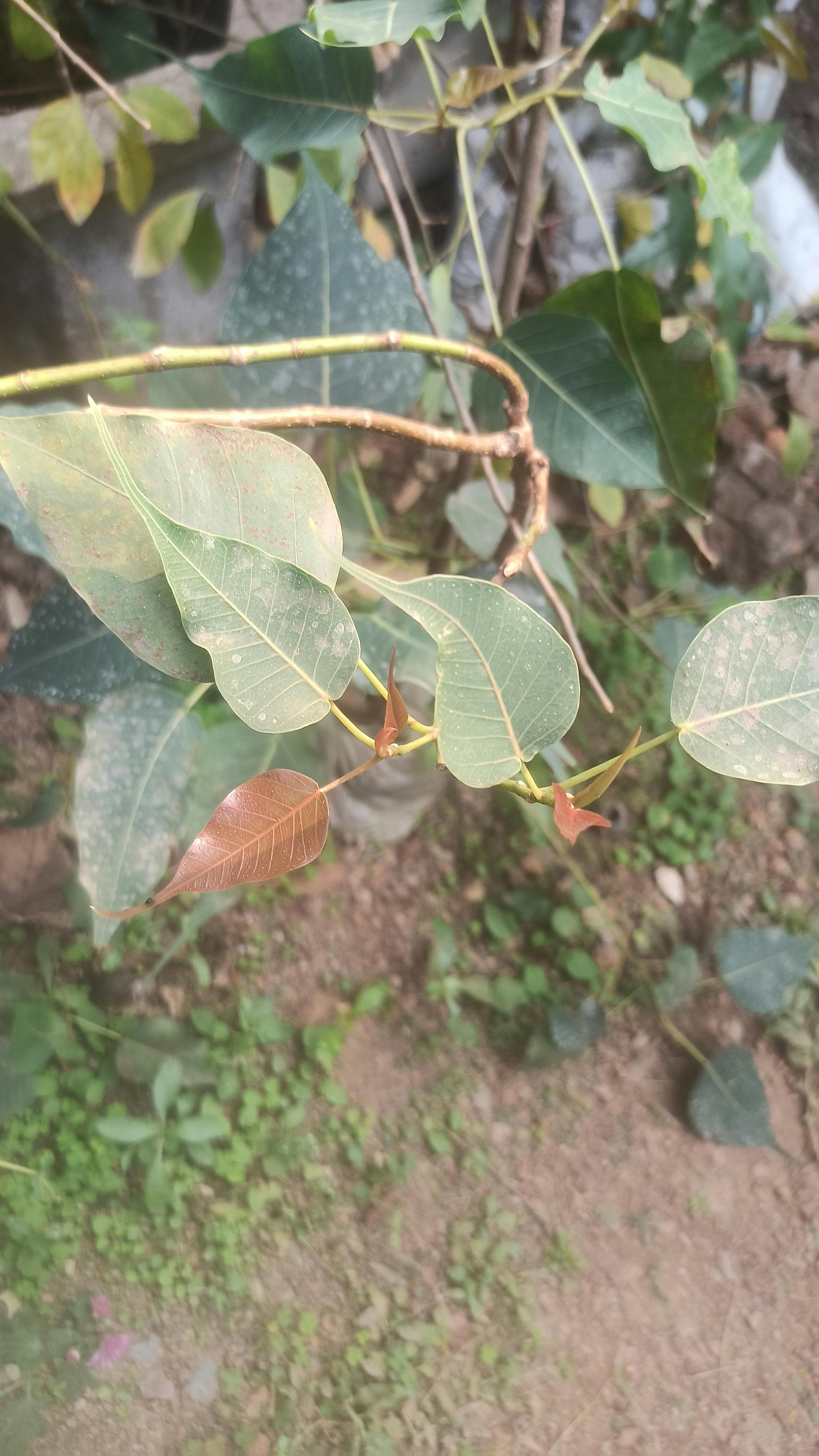 Neeraj Patel - Photography