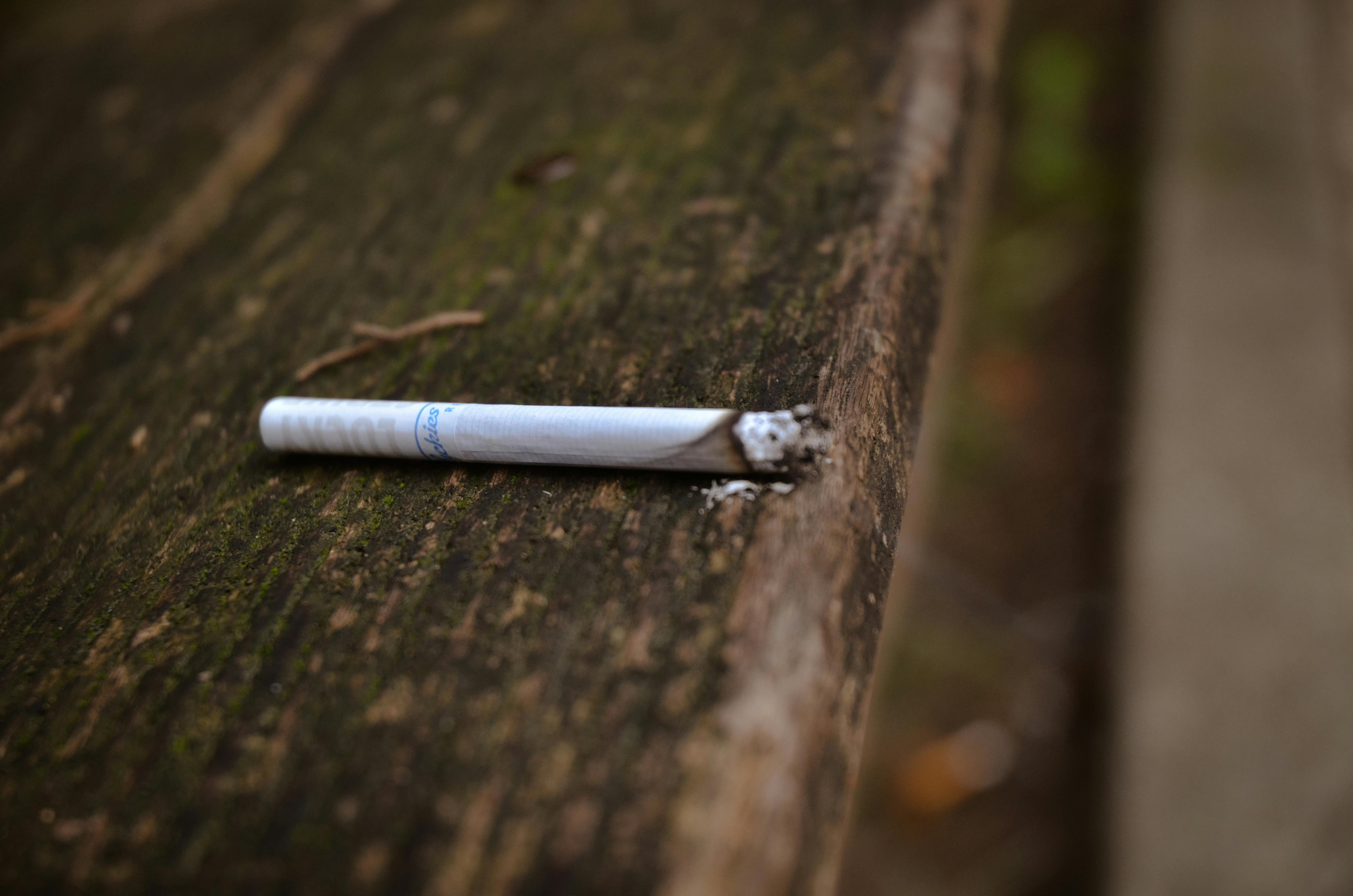 Sacred Tobacco Photos, Download Free Sacred Tobacco Stock Photos & HD ...