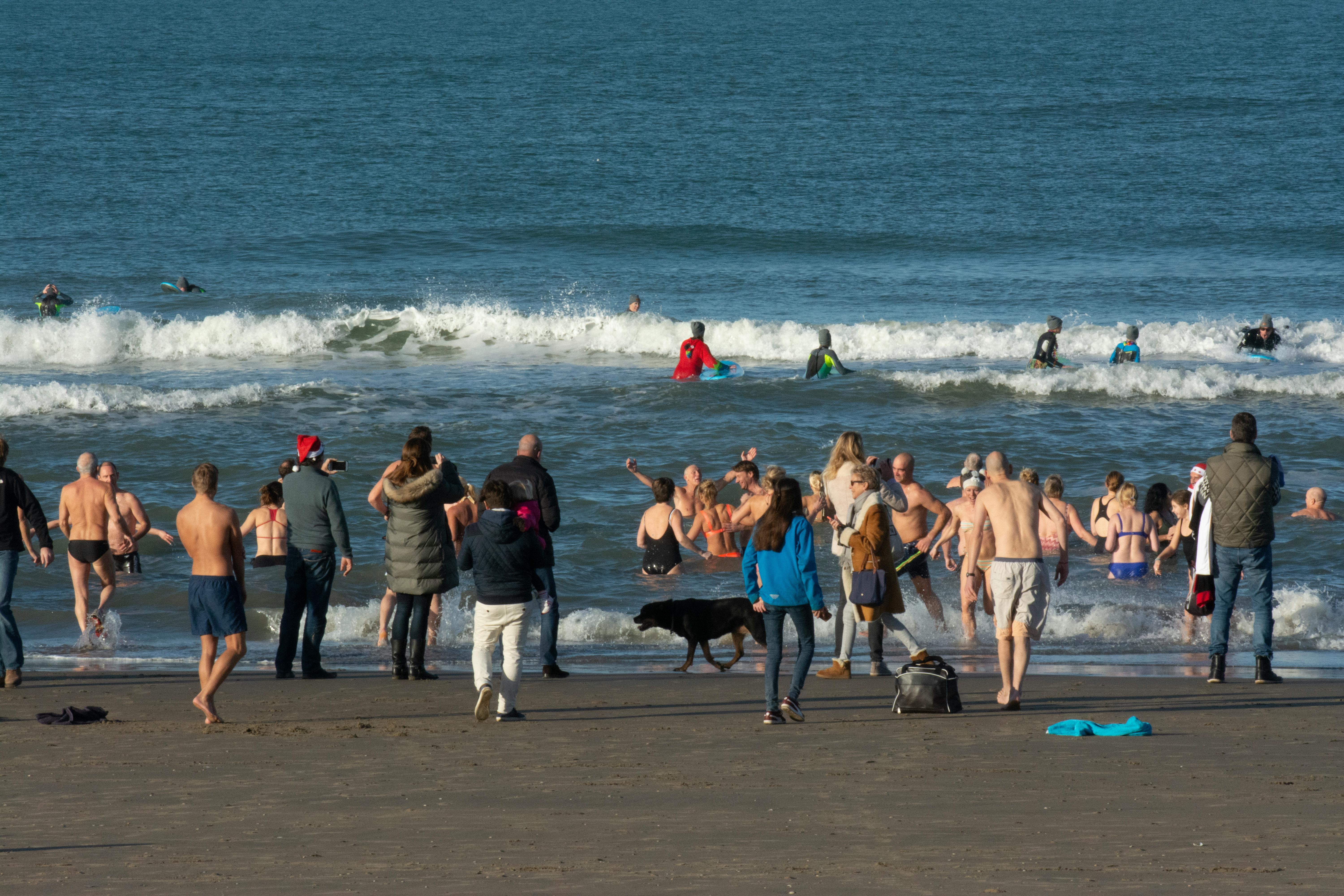 A group of people gathered at a beach for a winter swim, enjoying the chilly ocean waves.