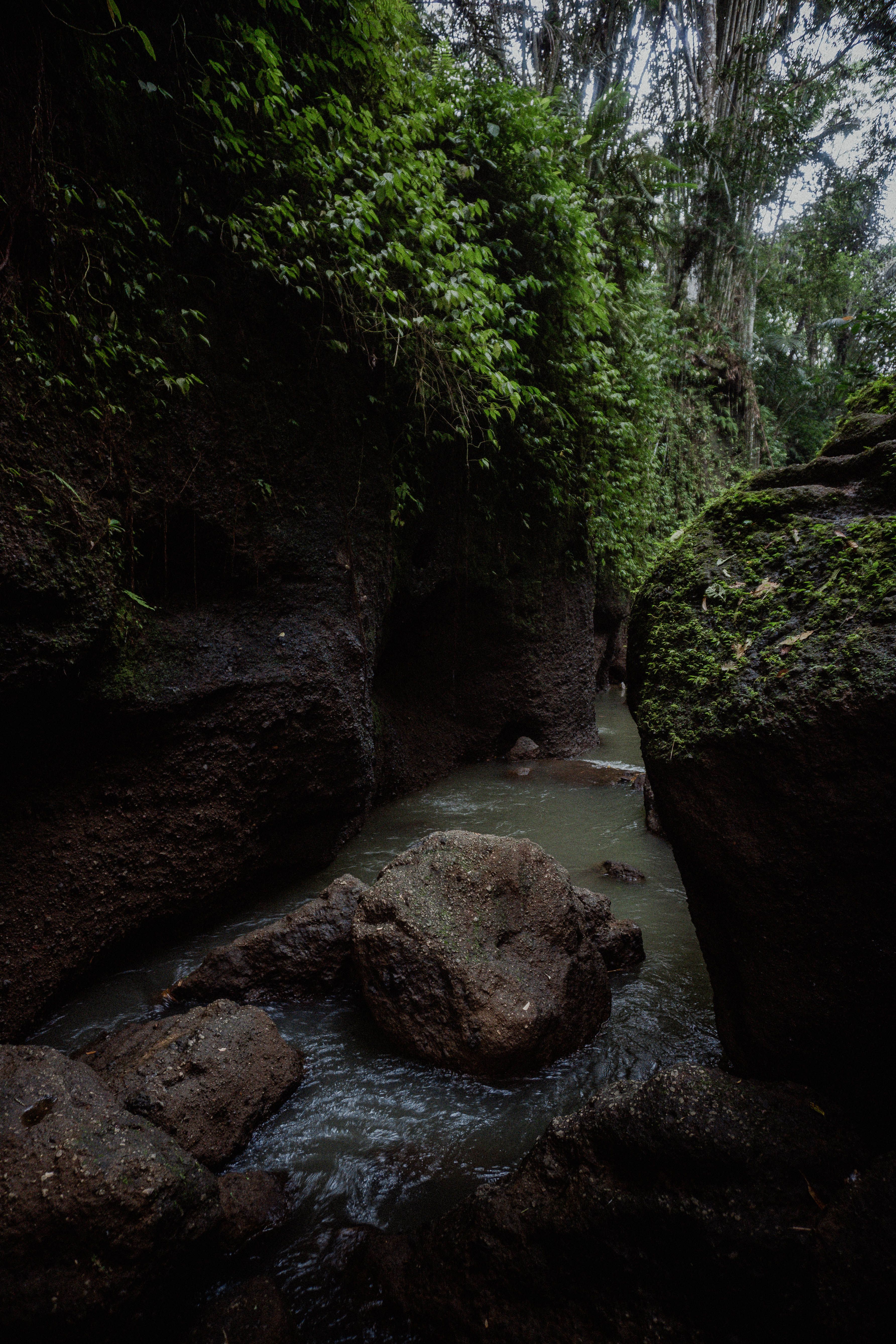 A Rocky River · Free Stock Photo