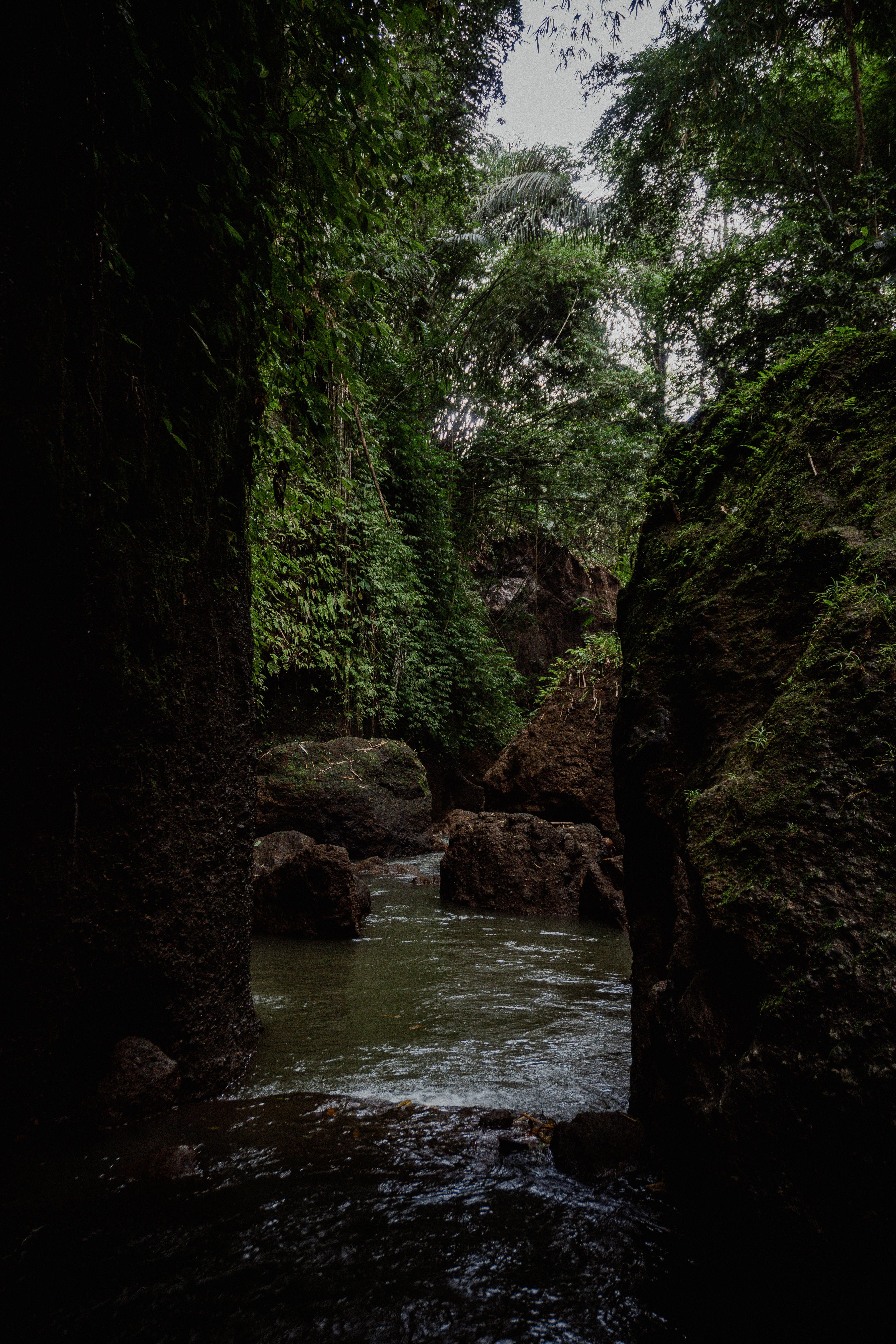 A Rocky River · Free Stock Photo