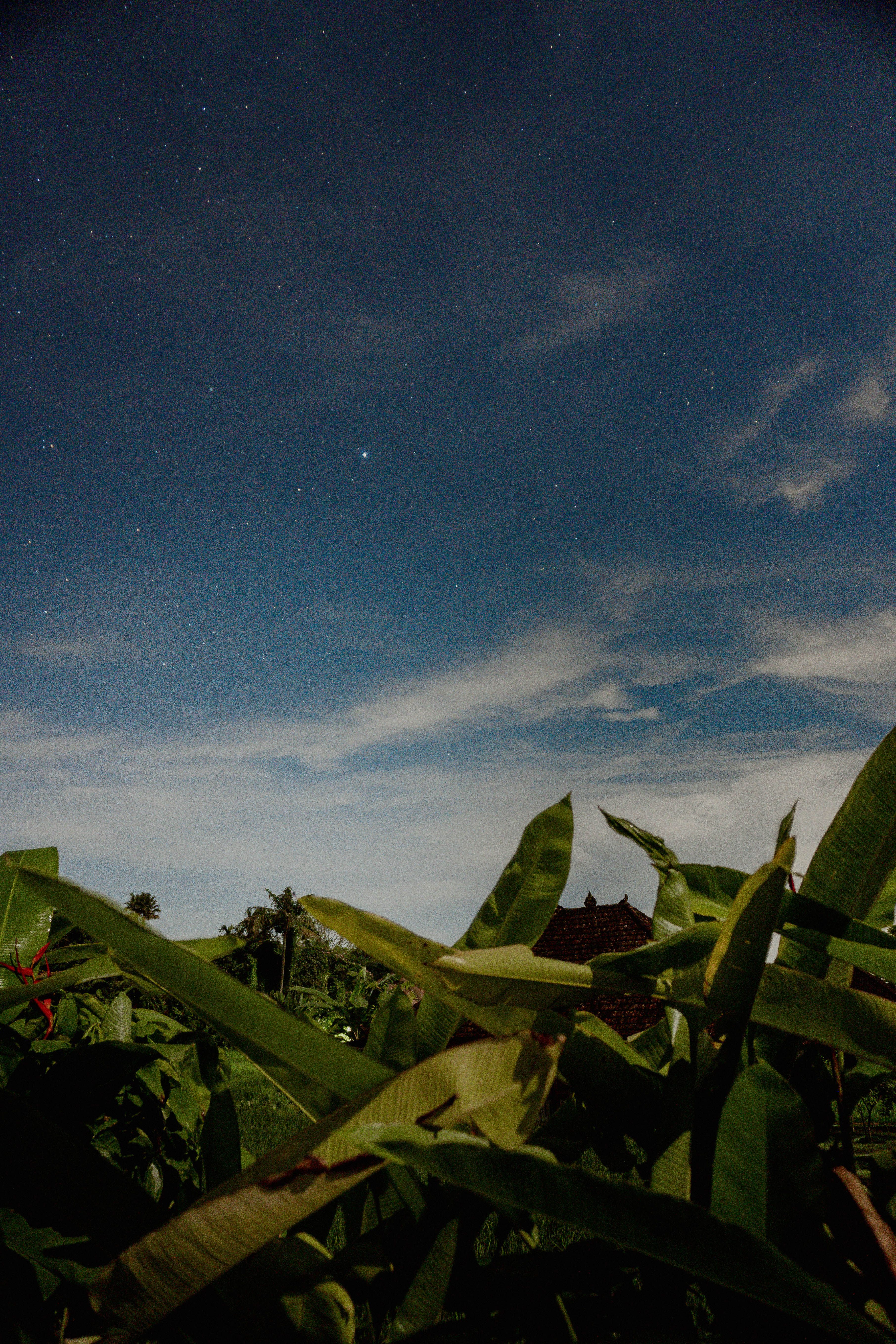 Agricultural Field at Dusk · Free Stock Photo