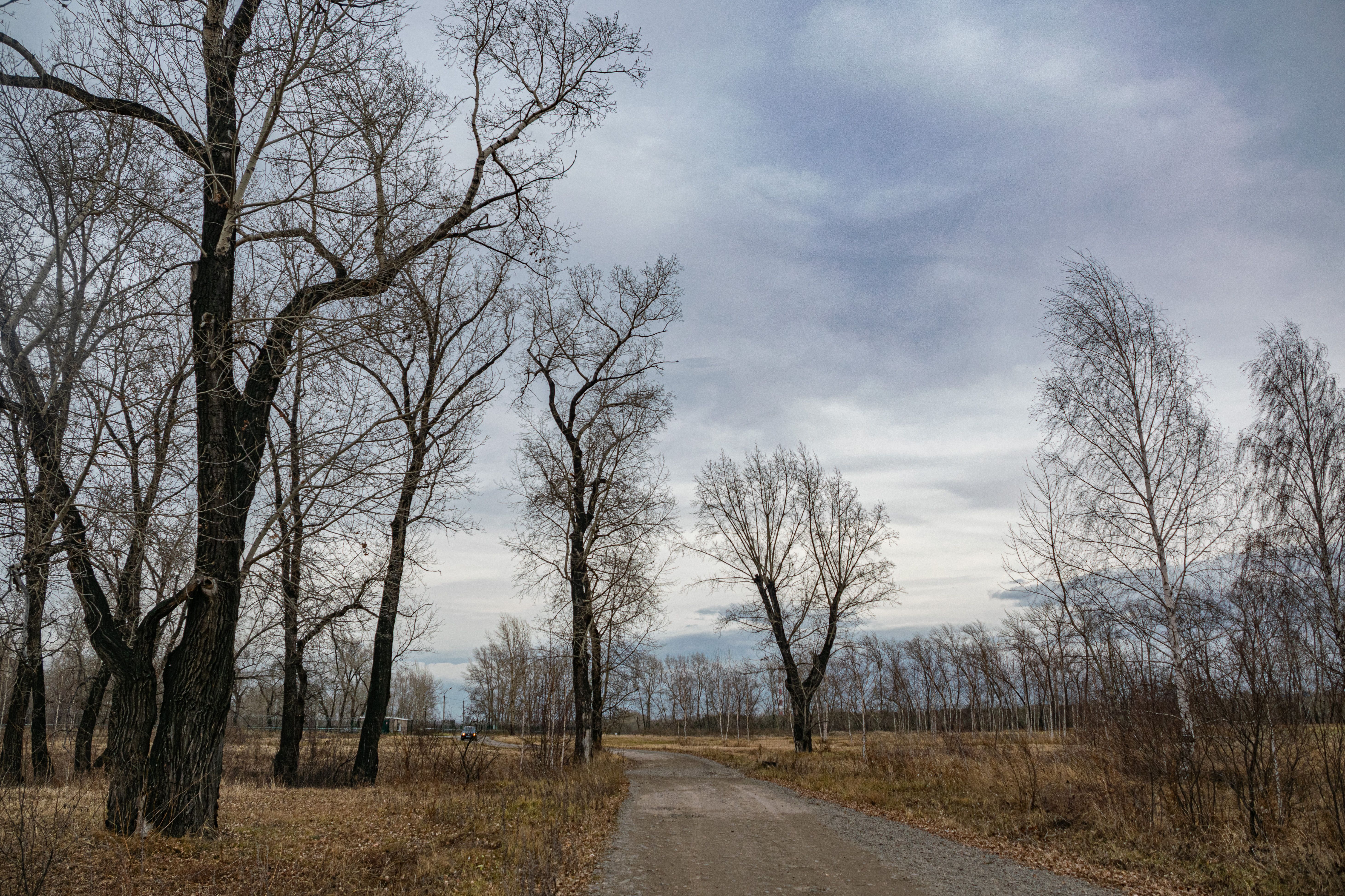 An Unpaved Road in the Countryside · Free Stock Photo