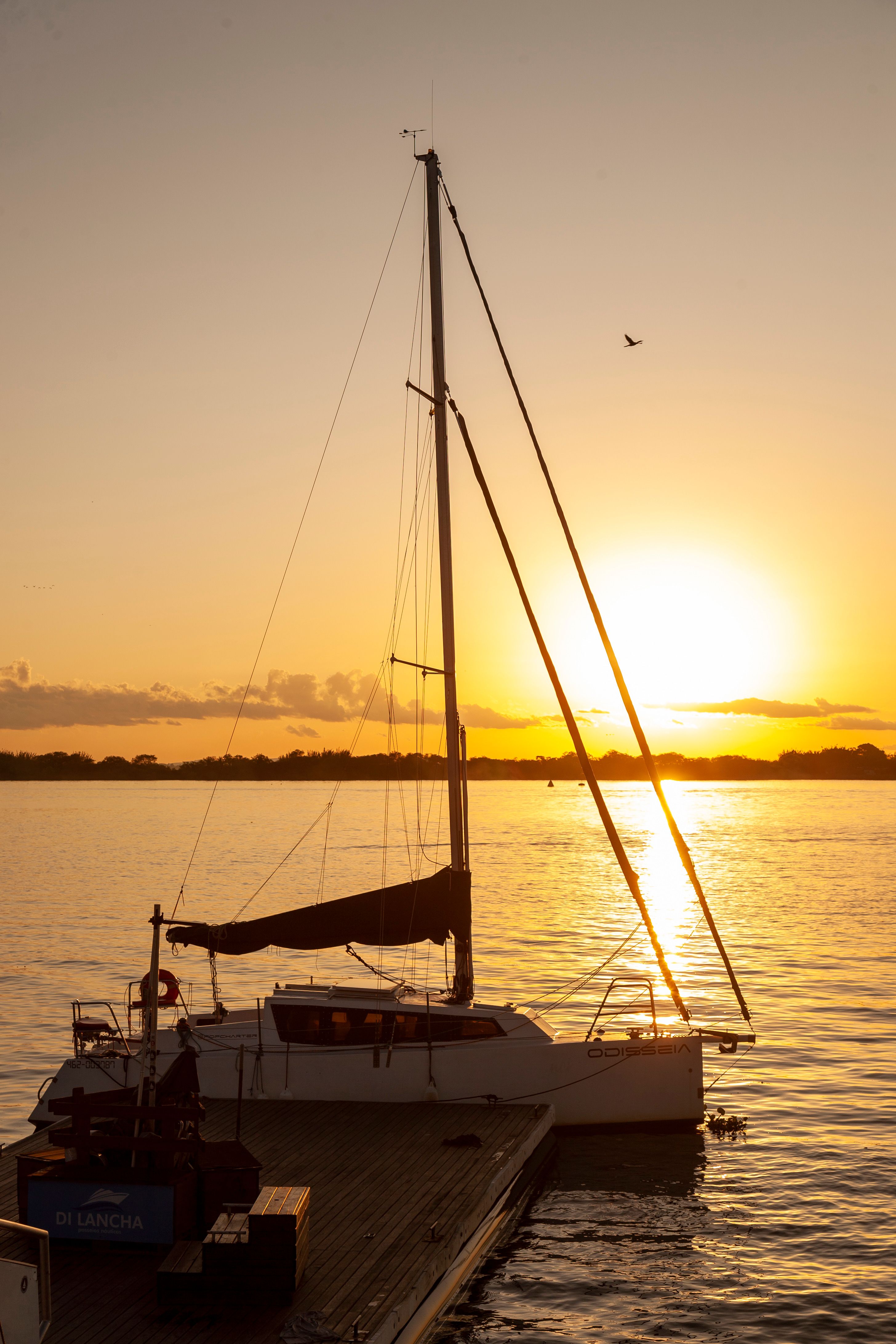 Photo gratuite de 2023, à la plage, aube, bateau, beau coucher de ...