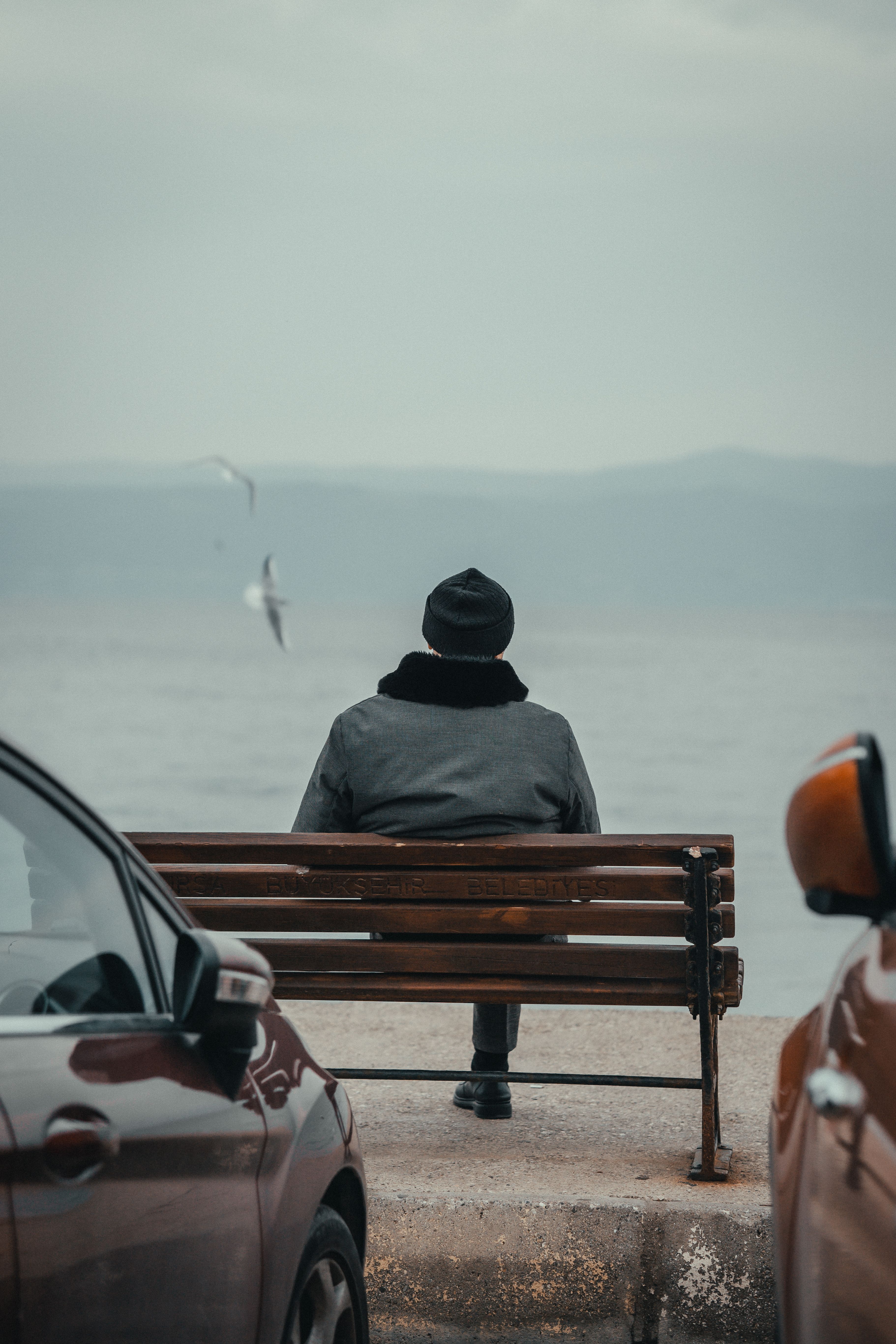 Sitting On Beanch Photos, Download The BEST Free Sitting On Beanch ...