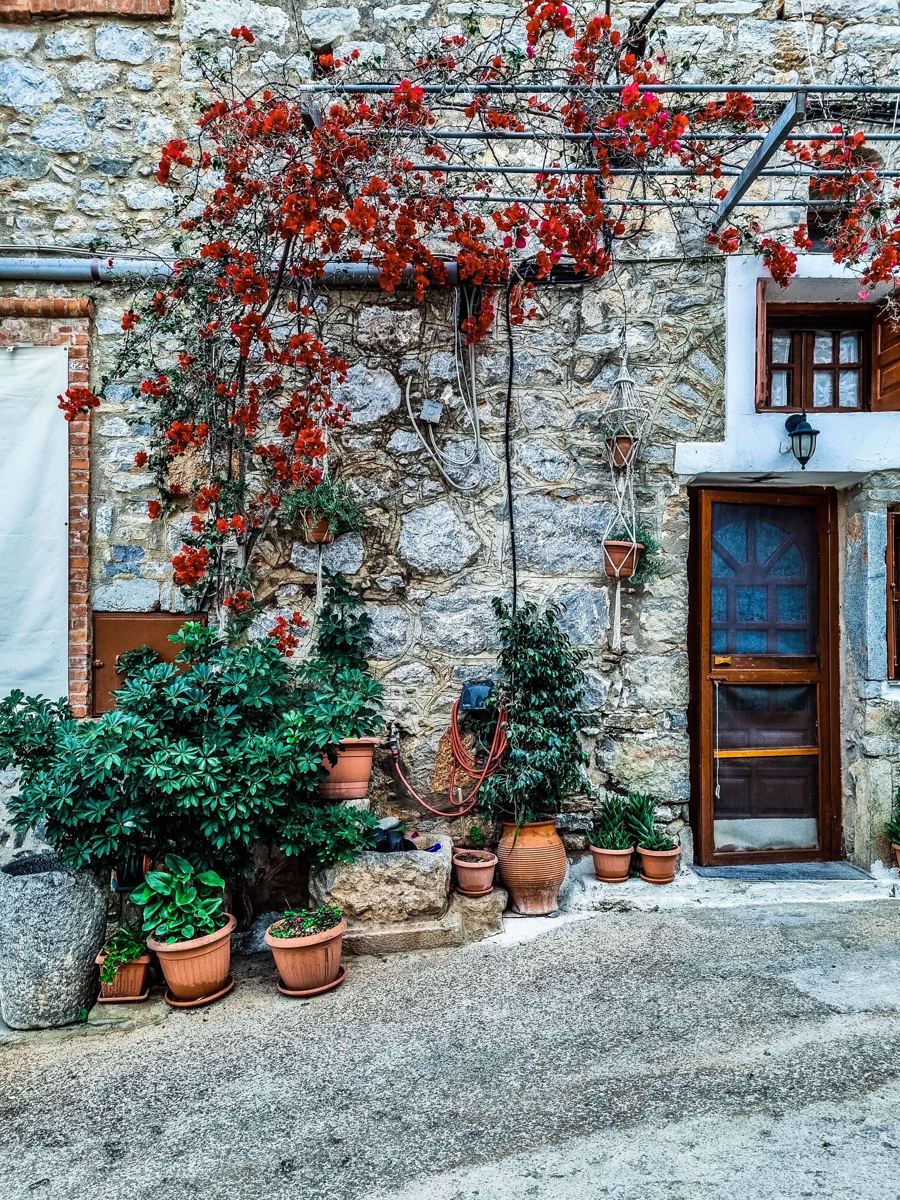 Plants in Pots by Entrance to House in Greece · Free Stock Photo