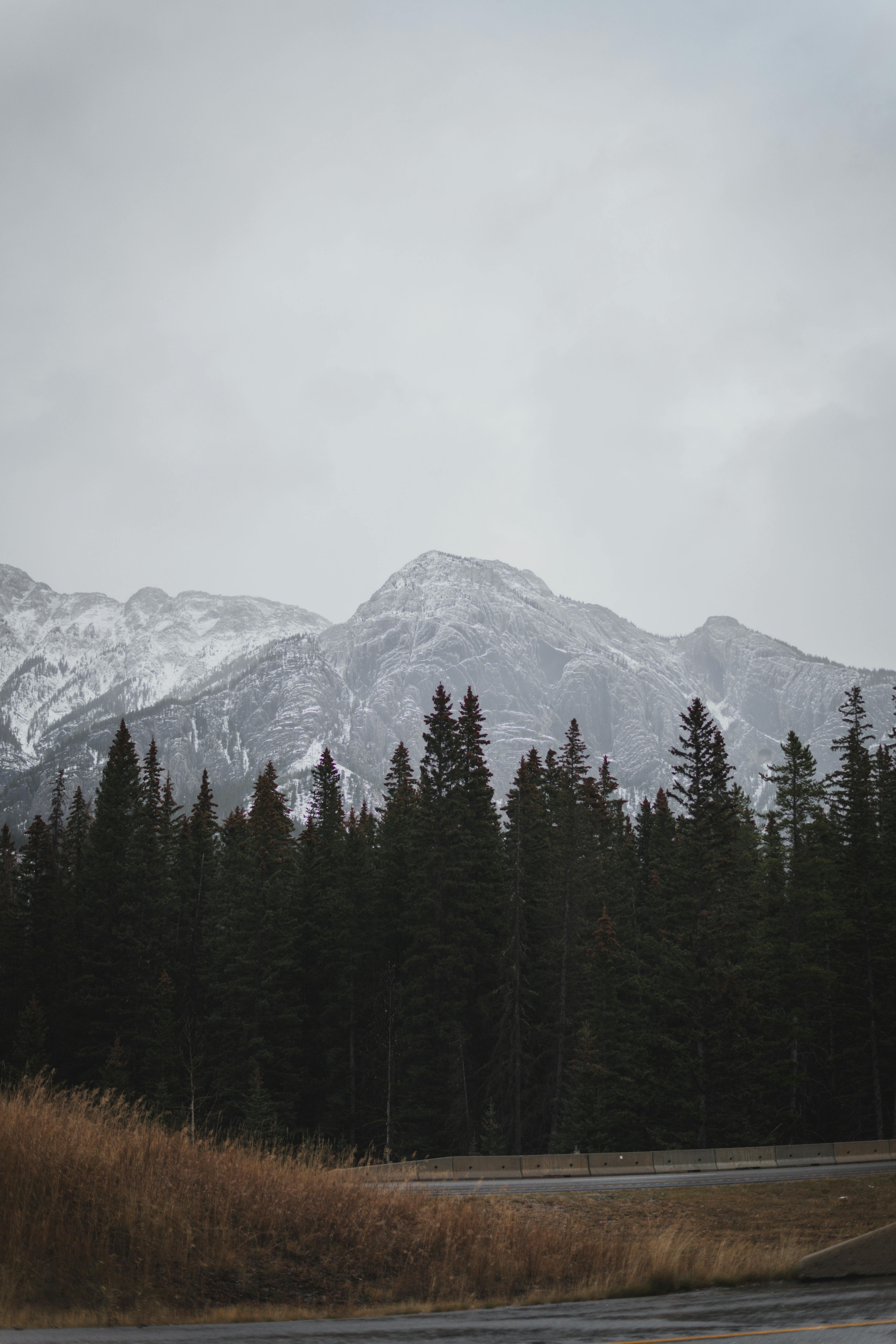 Overcast Mountain with Trees · Free Stock Photo
