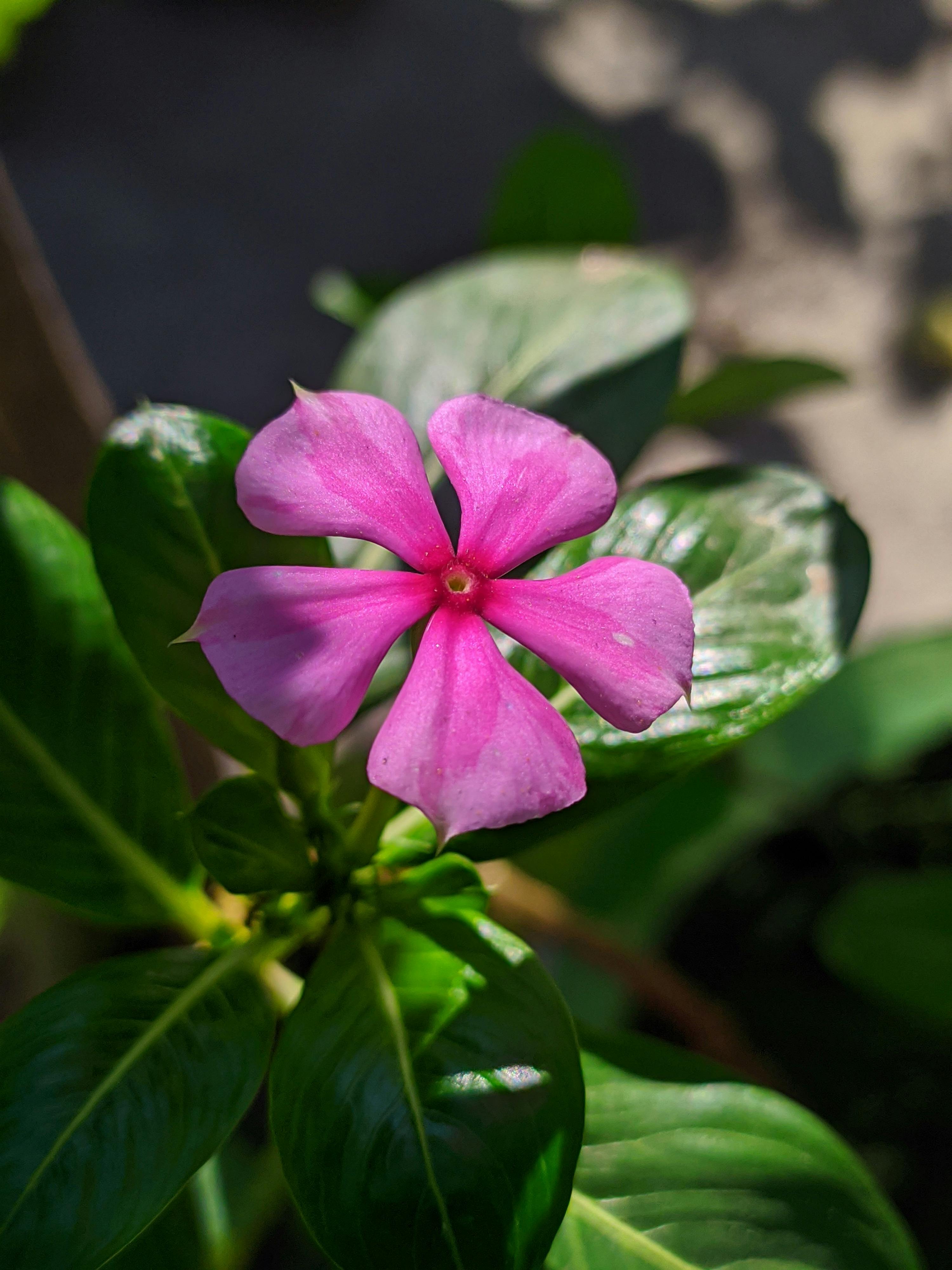 Sumon Error - Photography