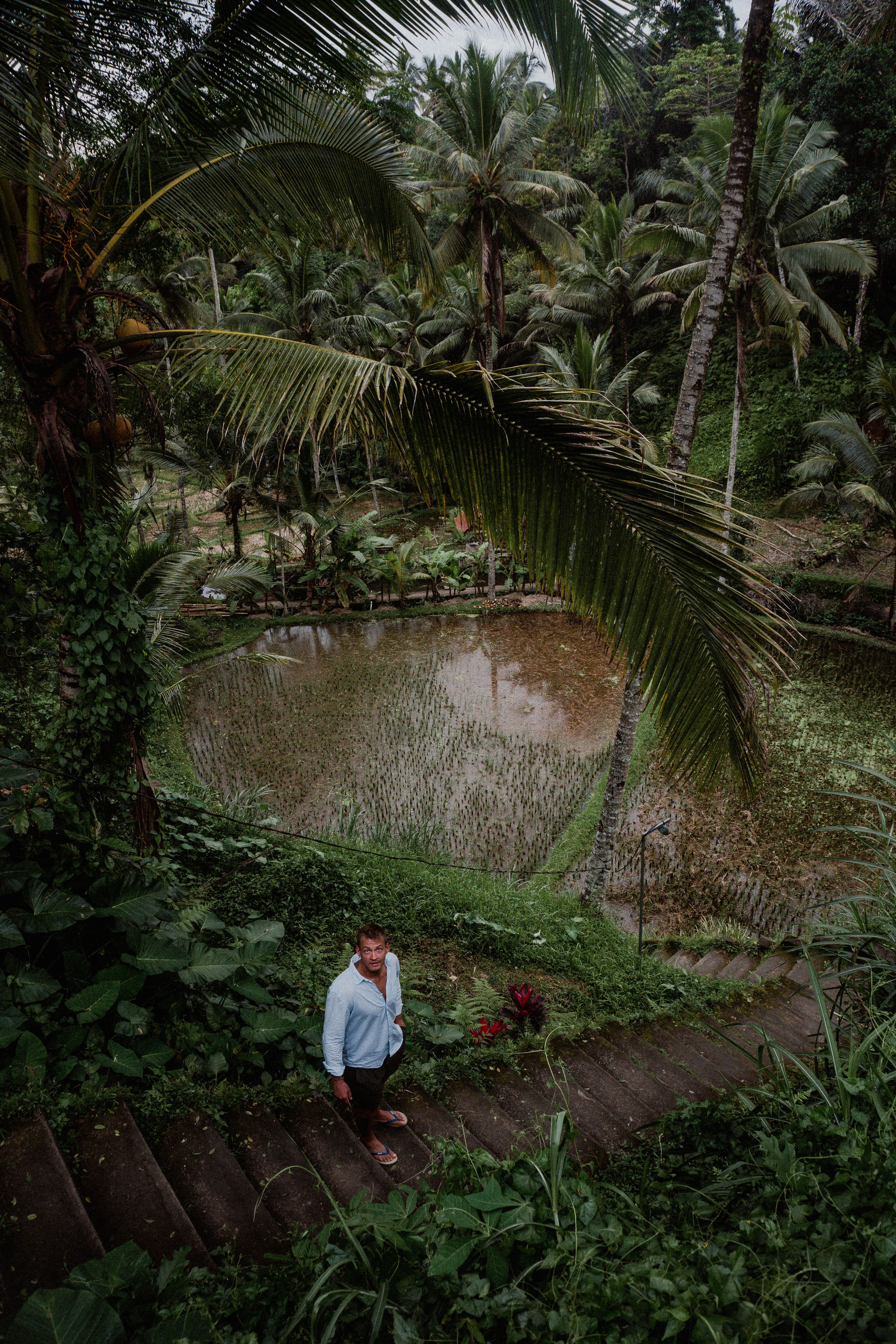 Man in Tropical Resort · Free Stock Photo