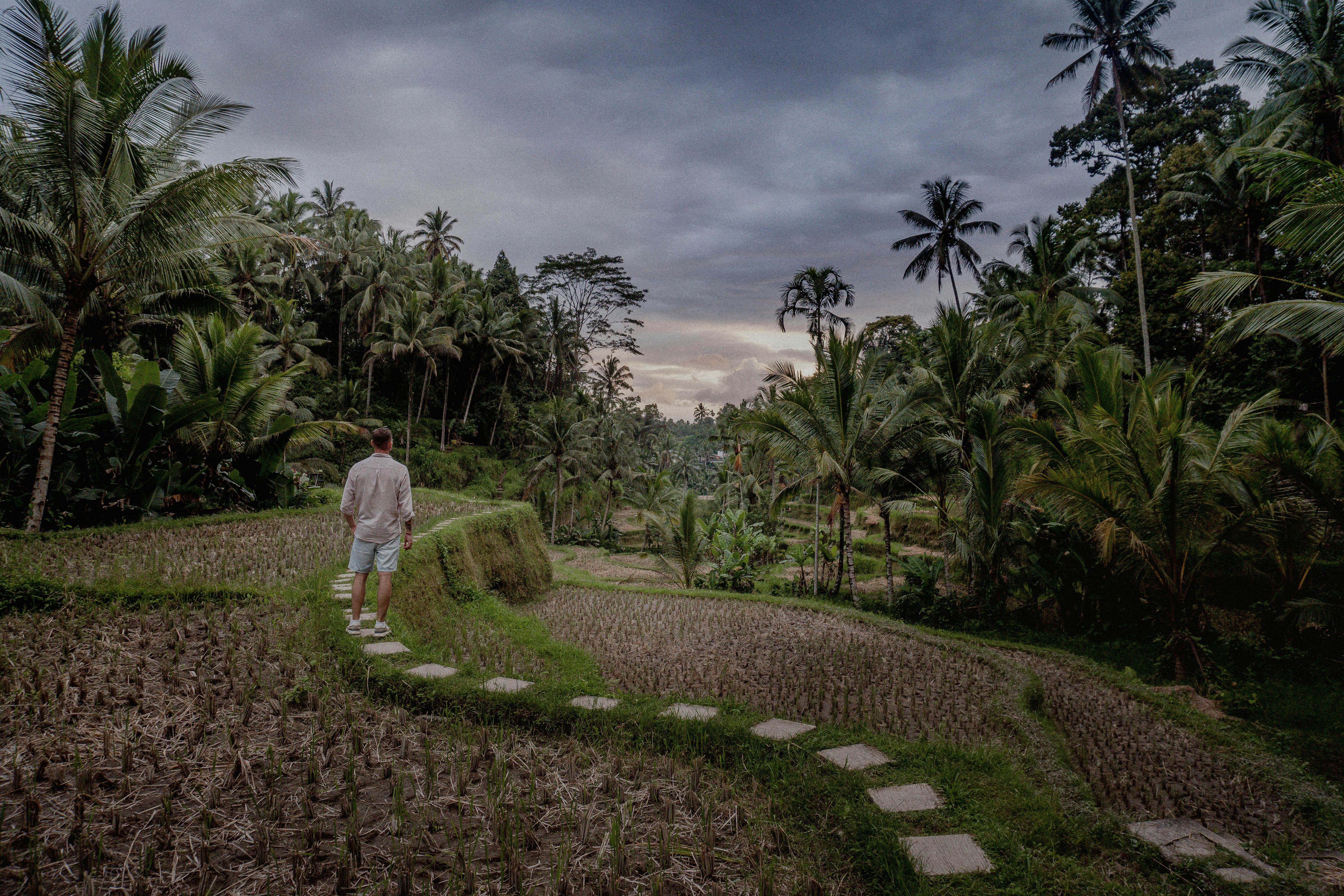 Tourist Walking among Fields on Exotic Island · Free Stock Photo