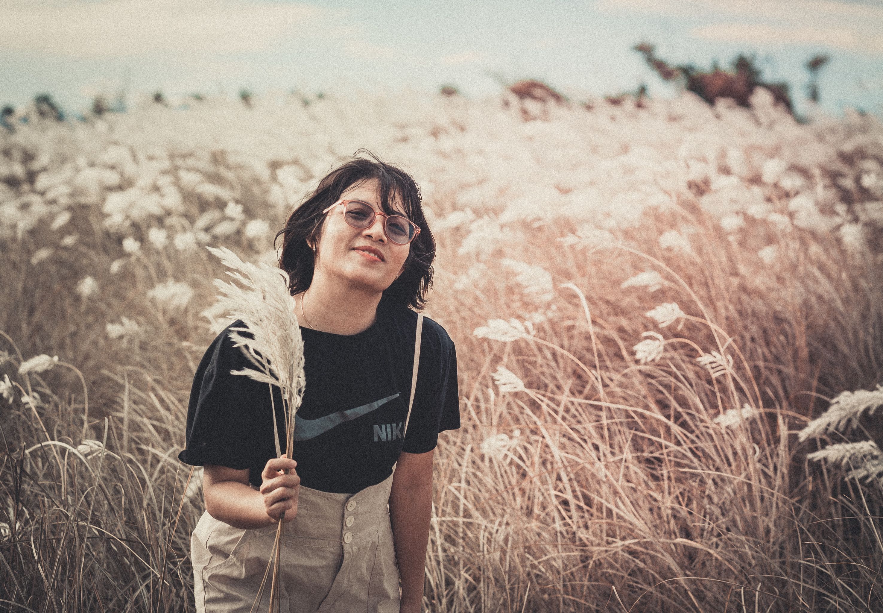 Woman Holding Grass on Meadow · Free Stock Photo