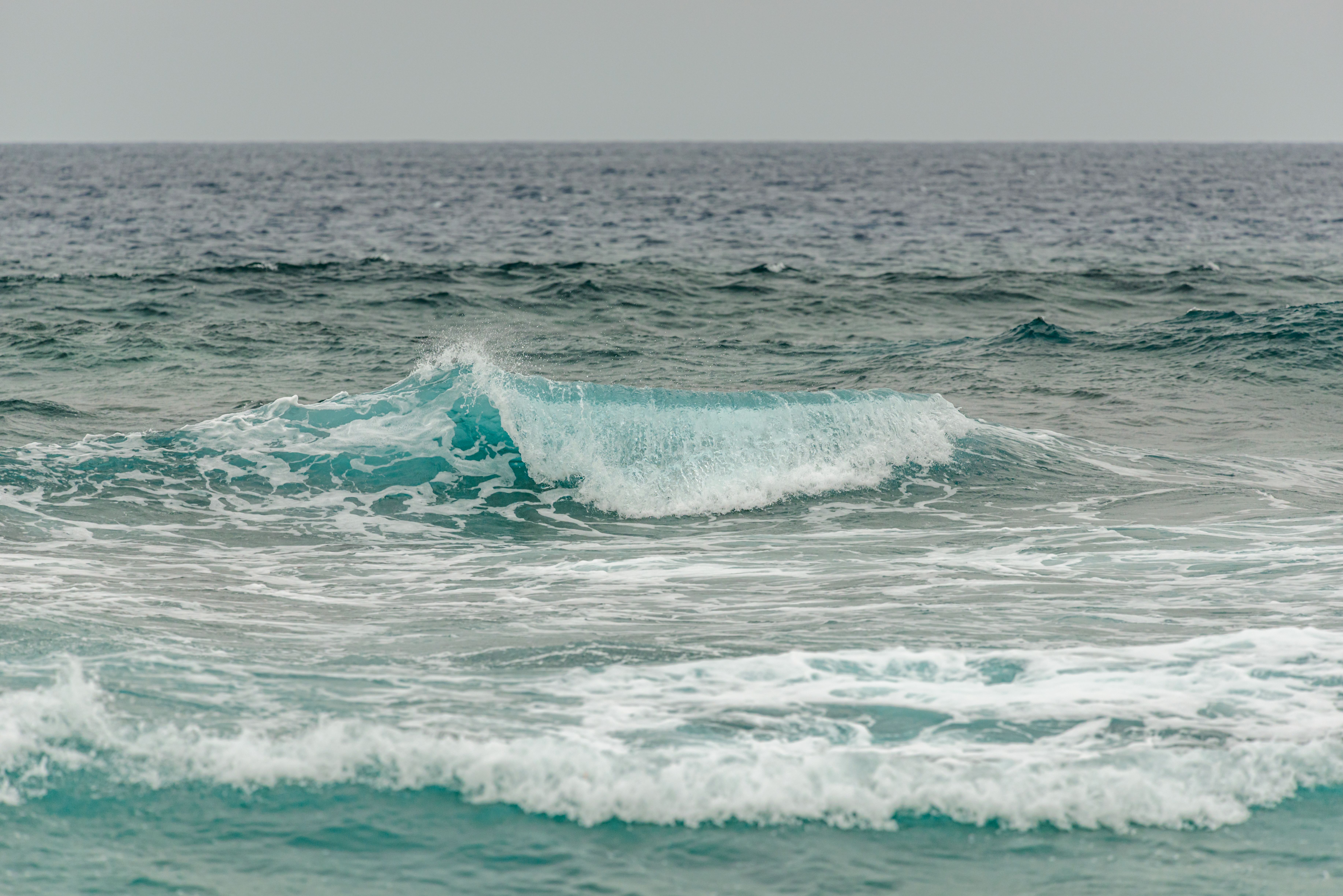 Photograph of a Sea Wave · Free Stock Photo