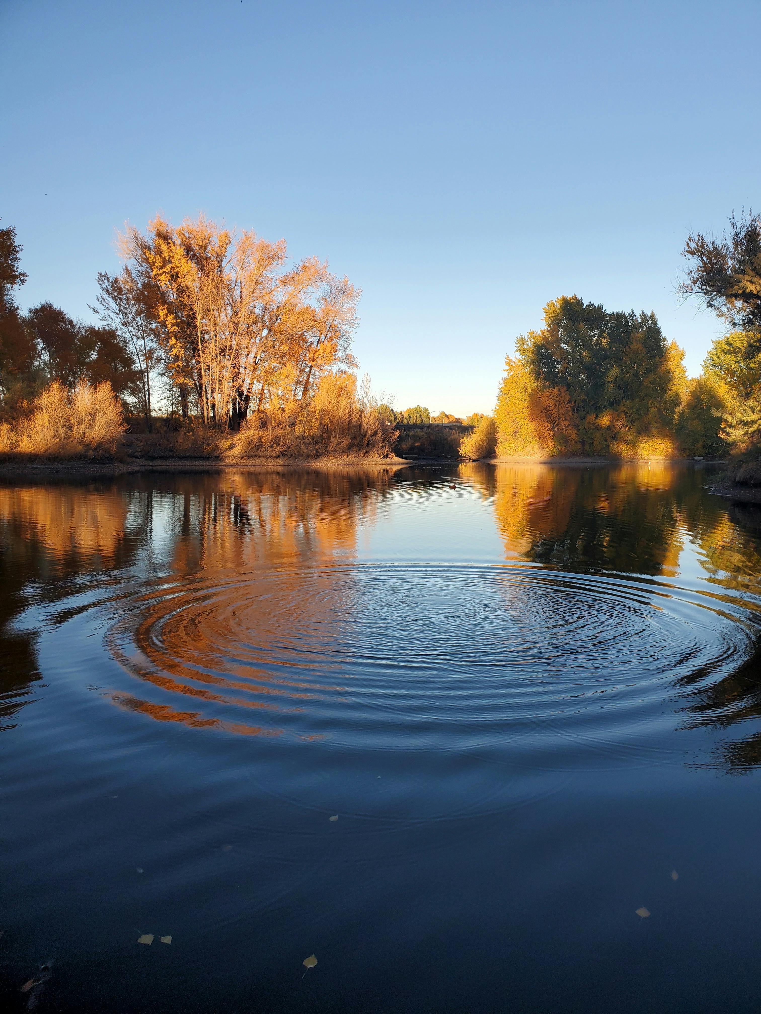 Fall Waves Photos, Download The BEST Free Fall Waves Stock Photos & HD ...