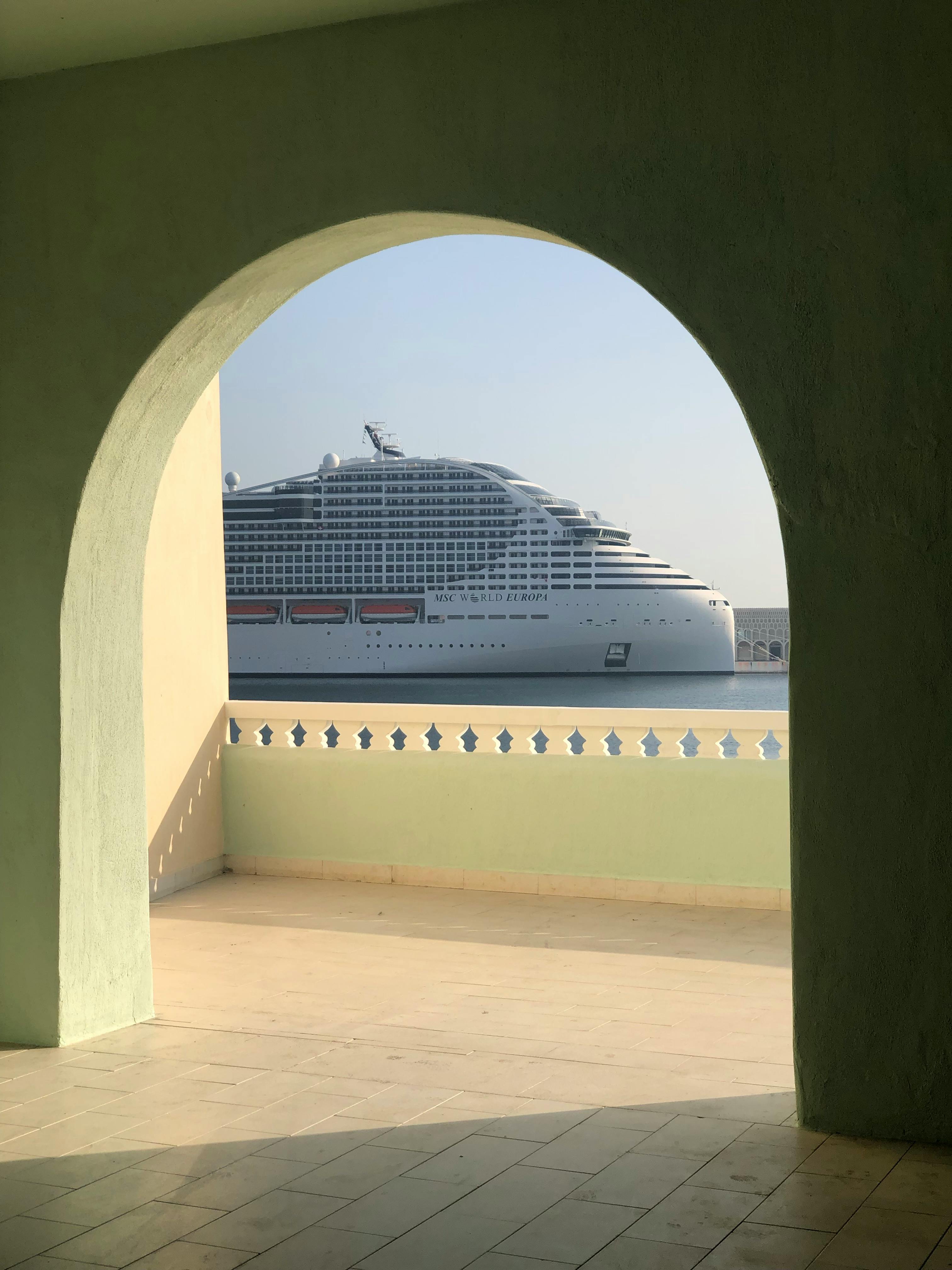 Tree Growing on a Paved Terrace · Free Stock Photo