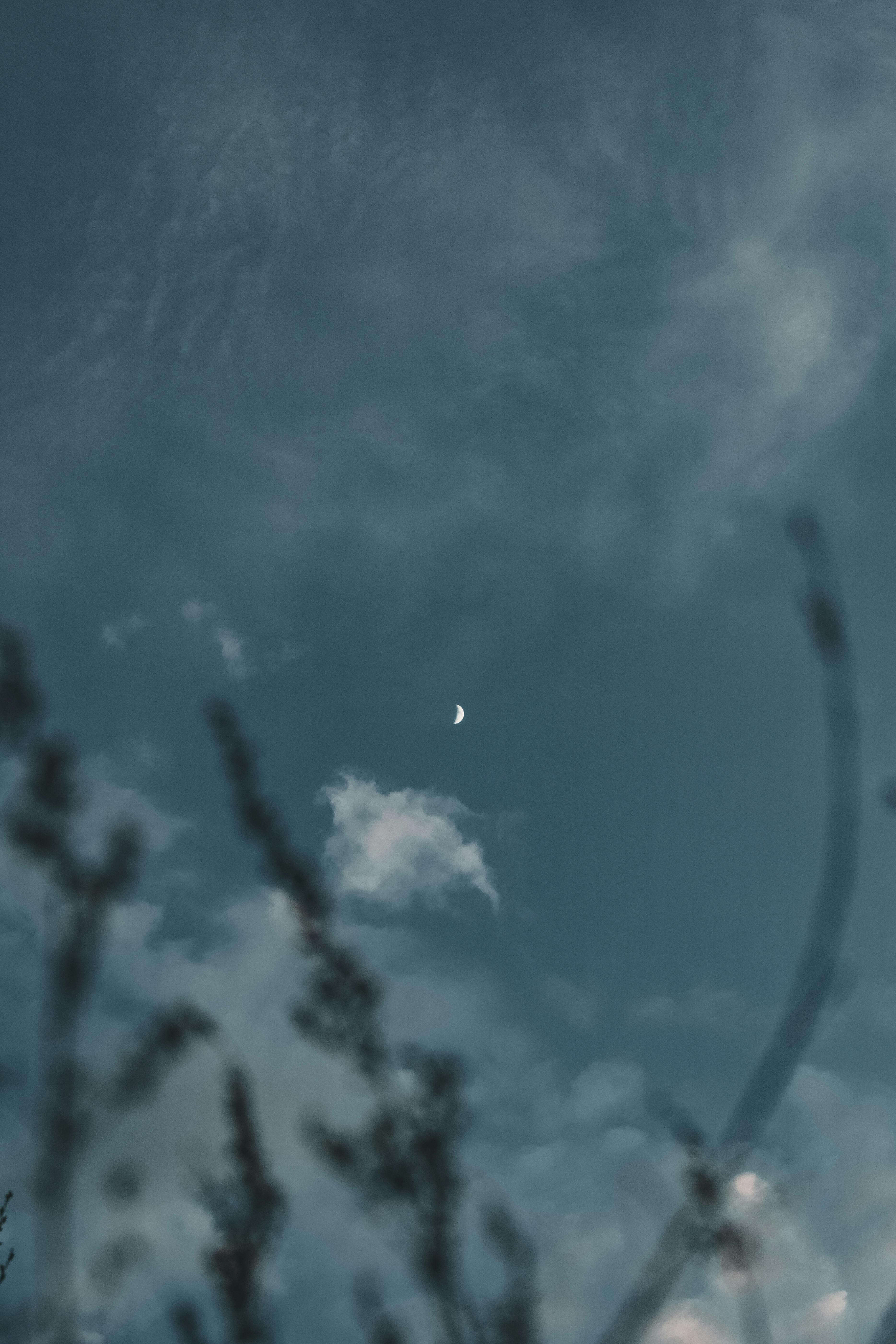 Crescent Moon · Free Stock Photo