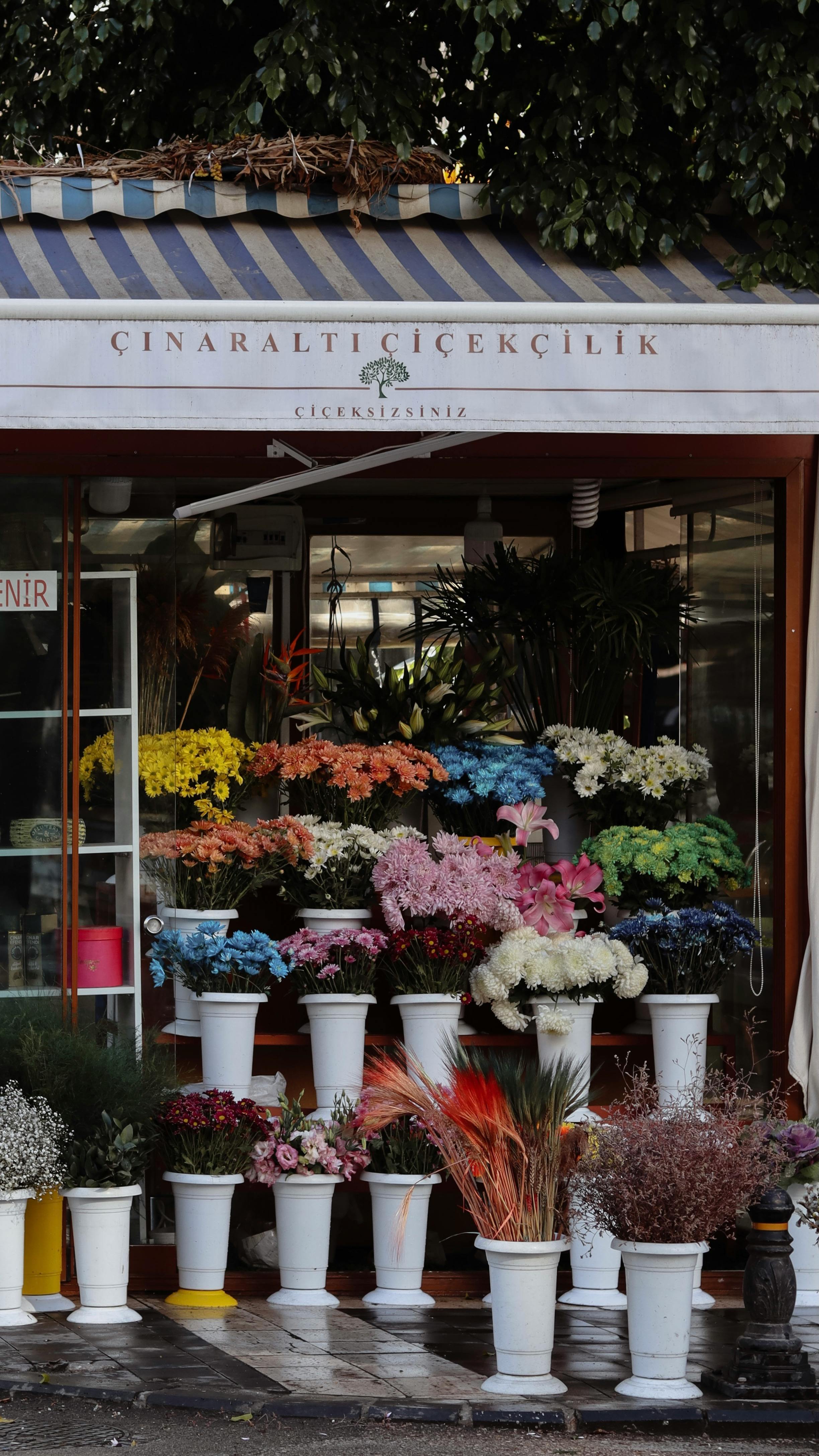 Photo of a Flower Shop · Free Stock Photo