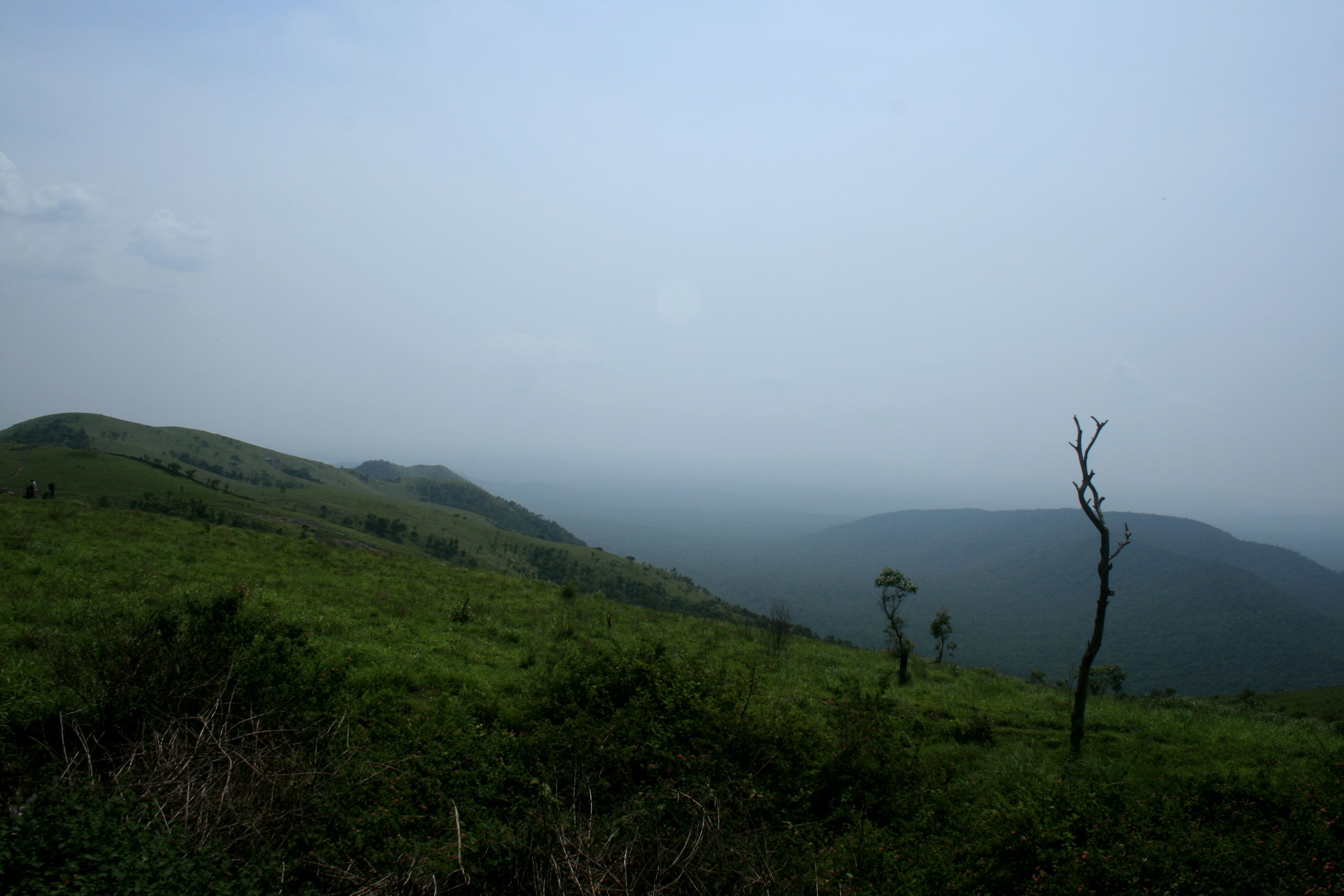 Sky Gradiant Photos, Download Free Sky Gradiant Stock Photos & HD Images