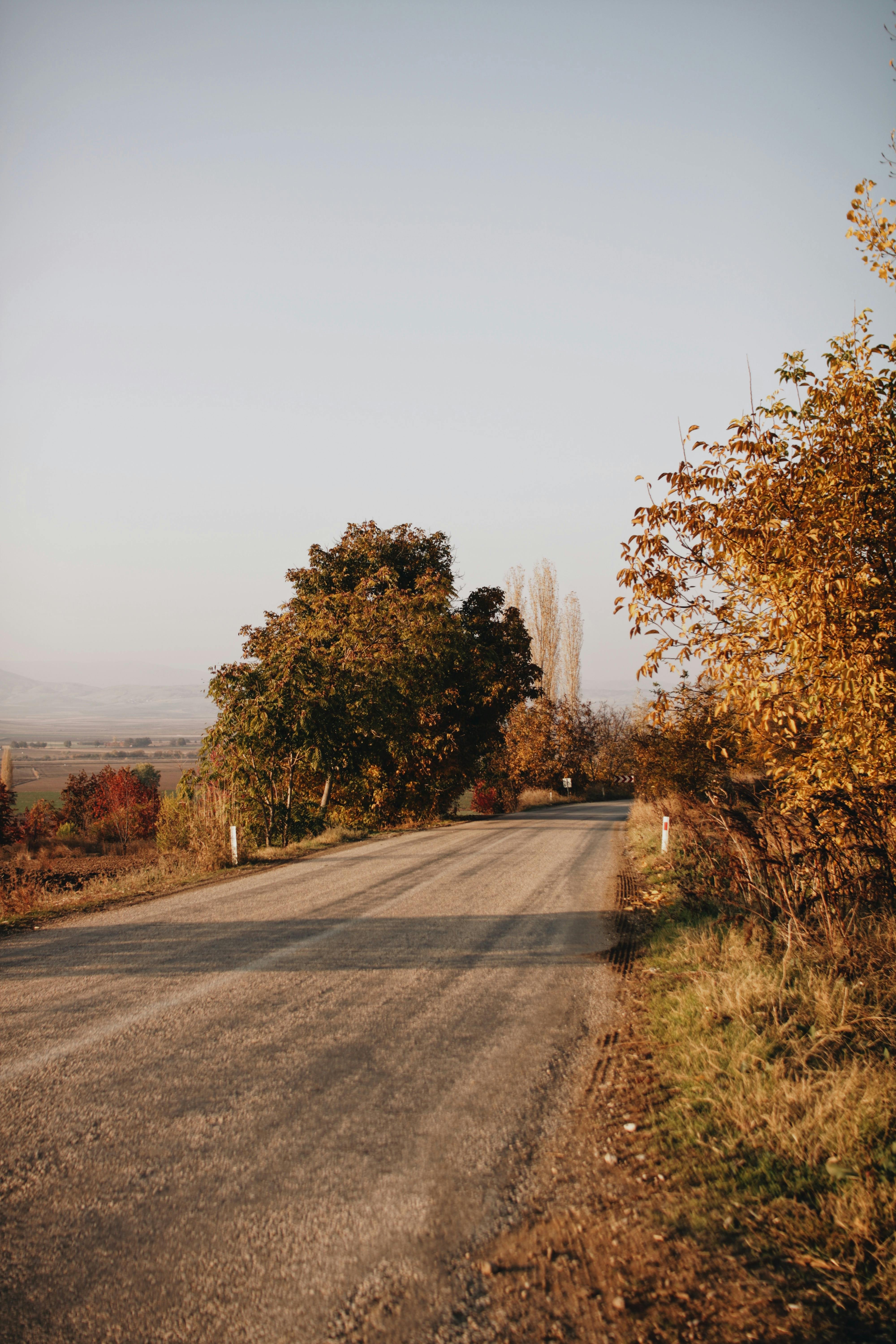 A Road in a Countryside · Free Stock Photo