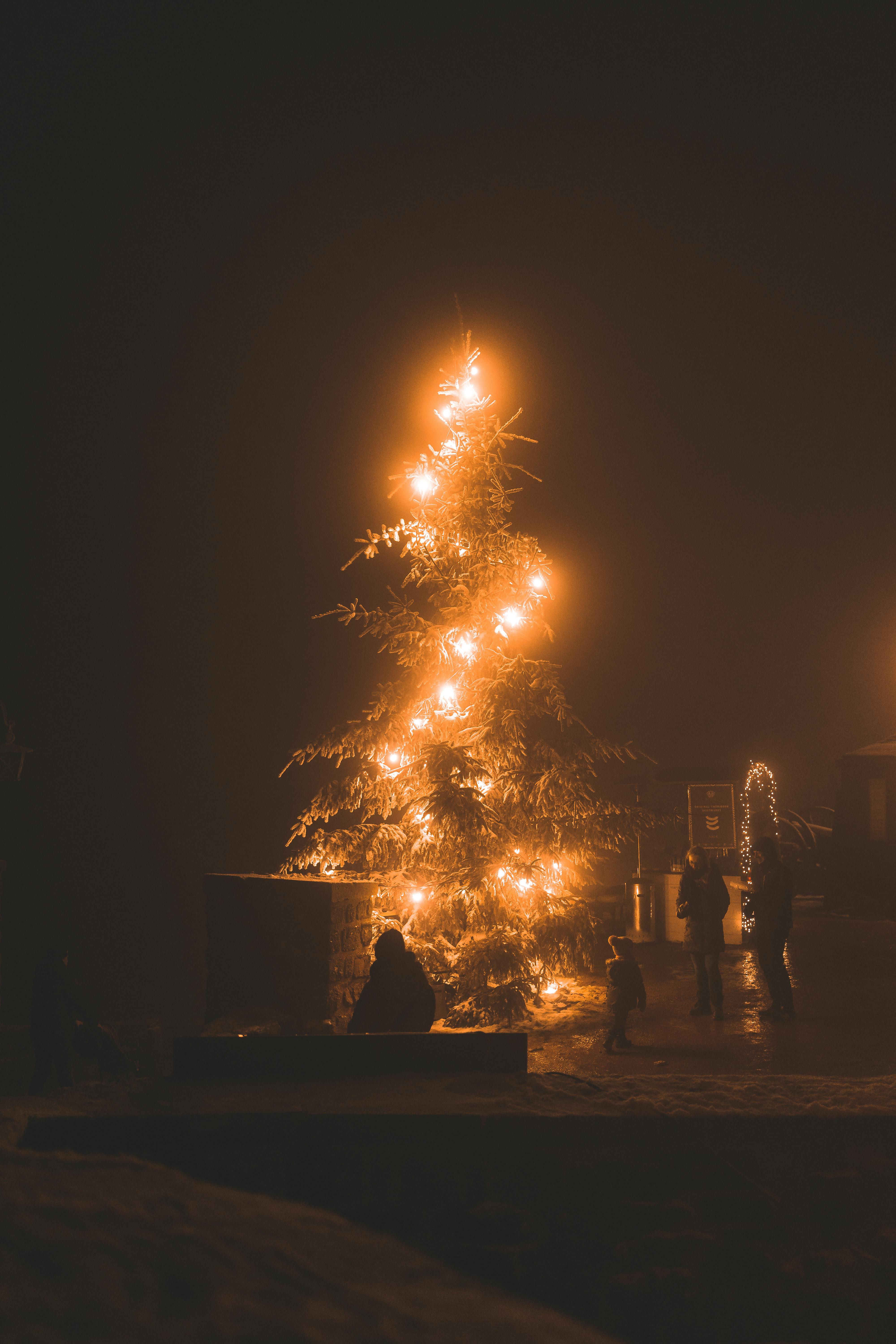 Christmas Tree With Decorations during Nighttime · Free Stock Photo