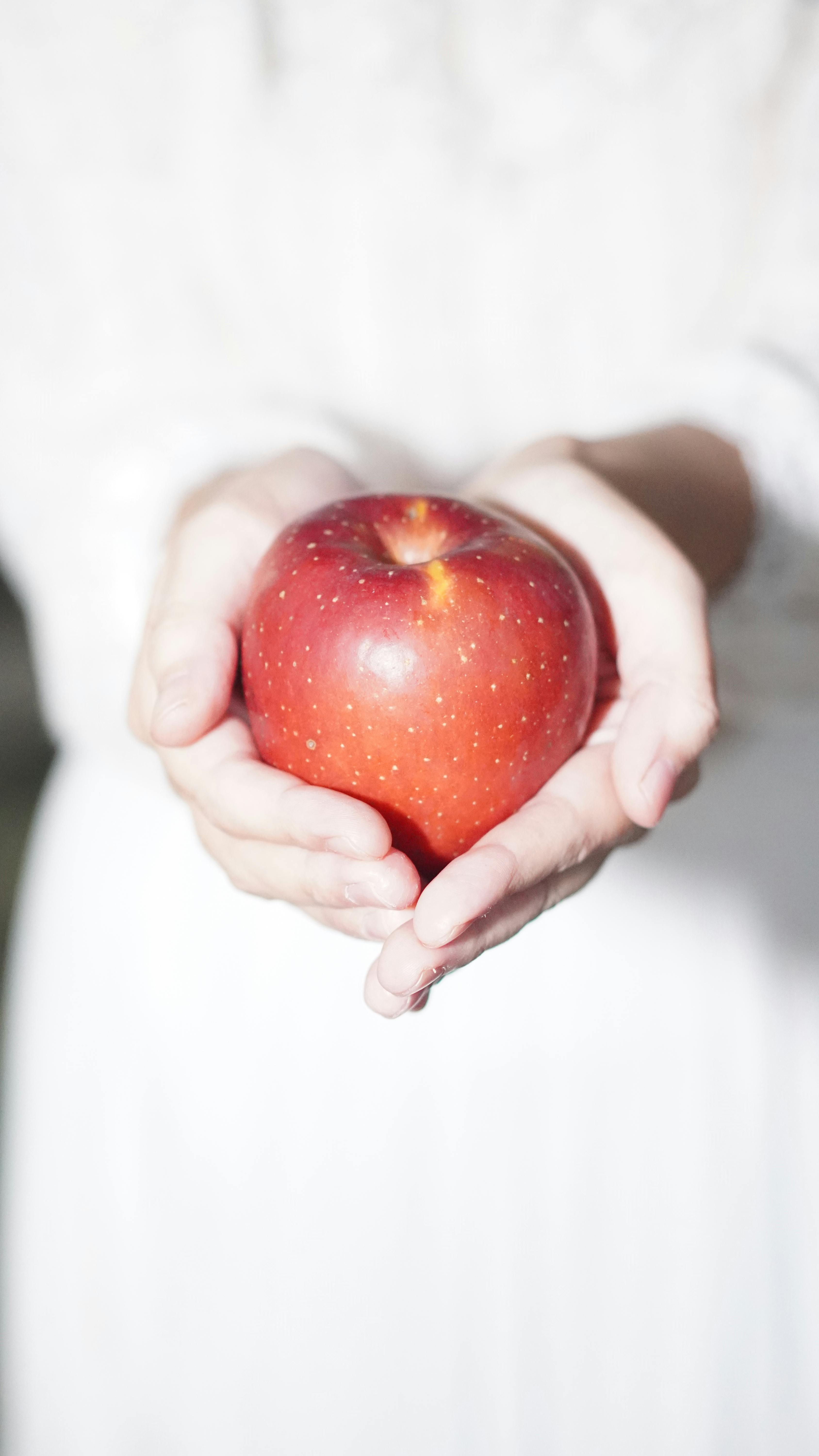 A Person Holding an Apple · Free Stock Photo