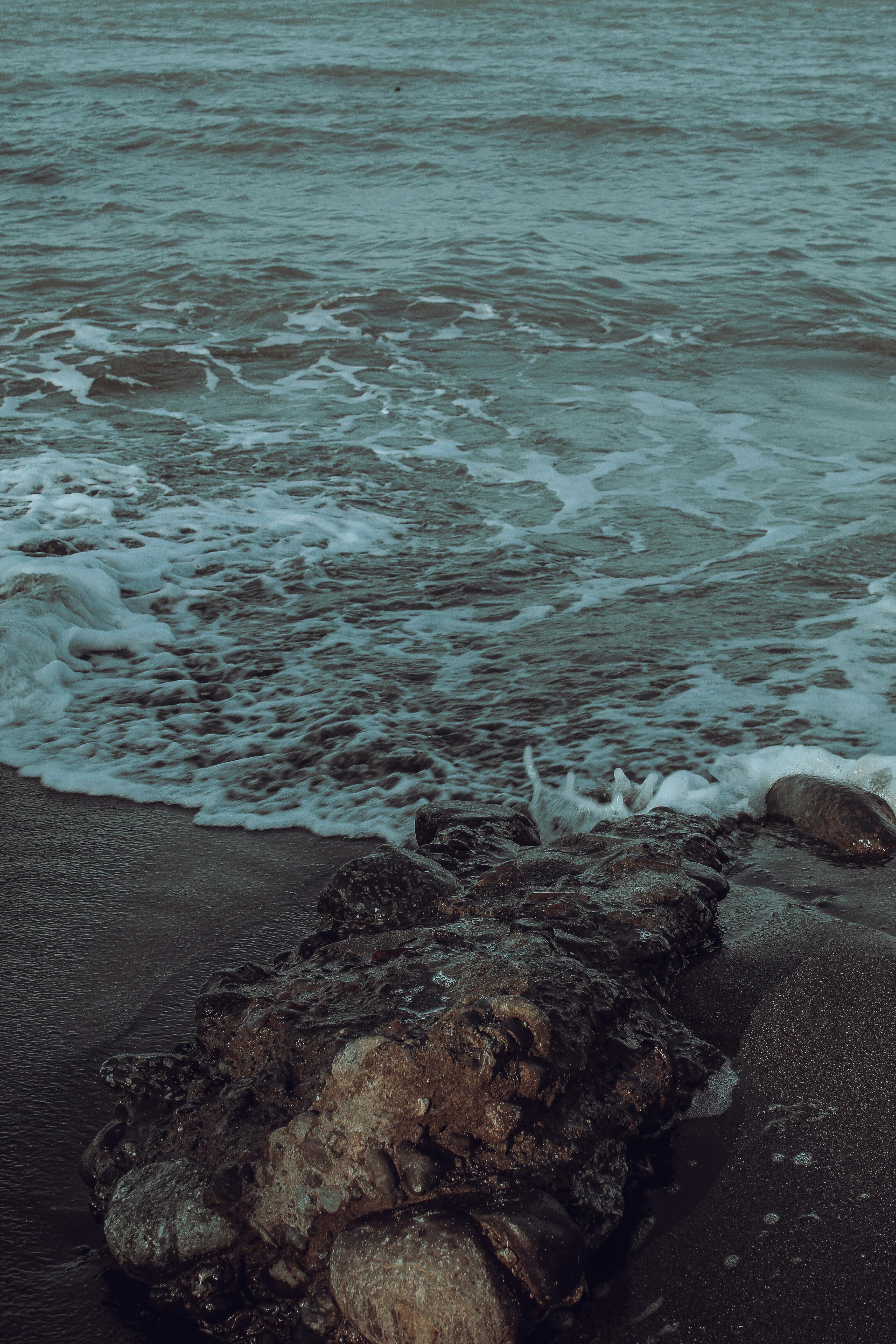 Rocks on Beach · Free Stock Photo