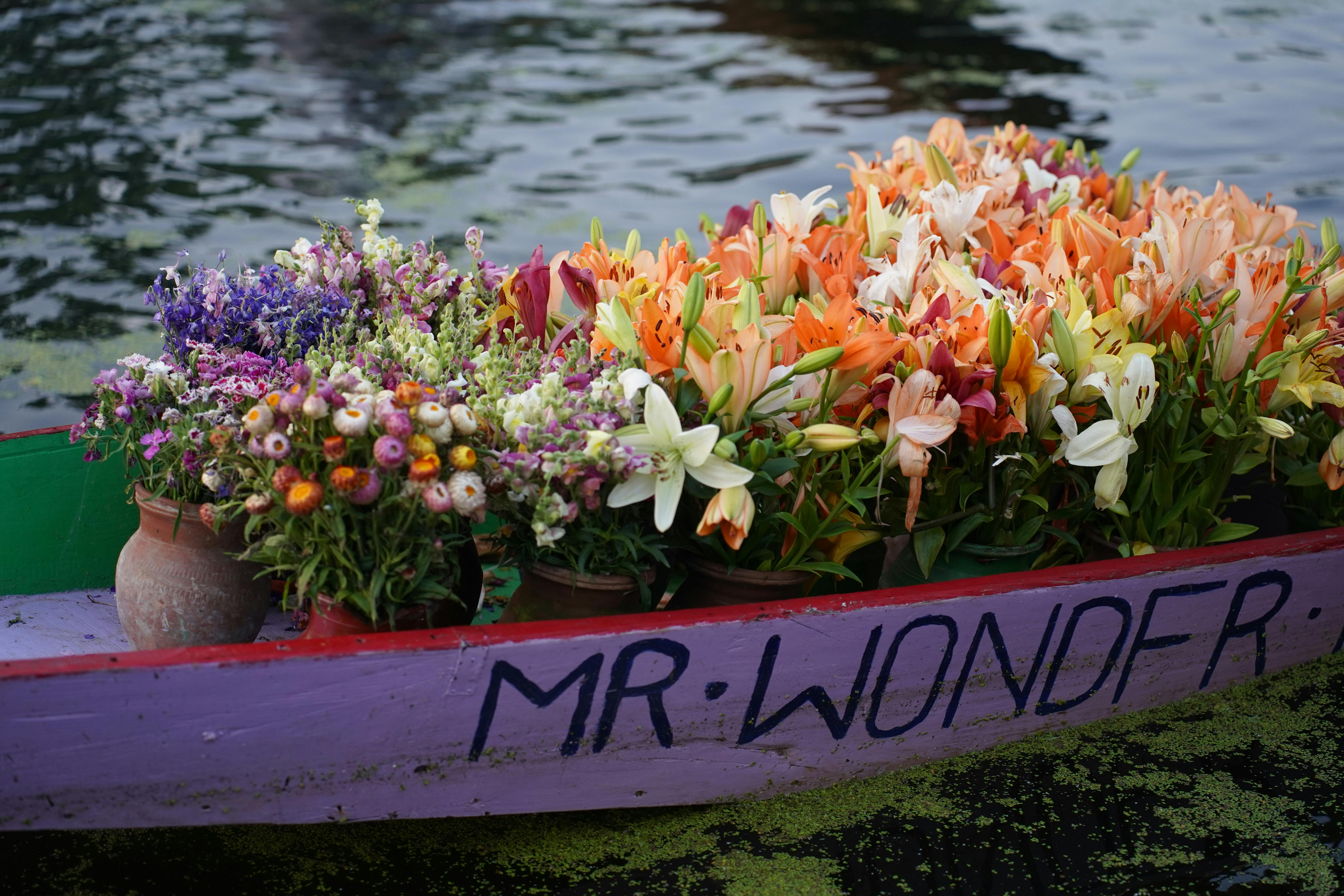 Flowers on a Boat · Free Stock Photo