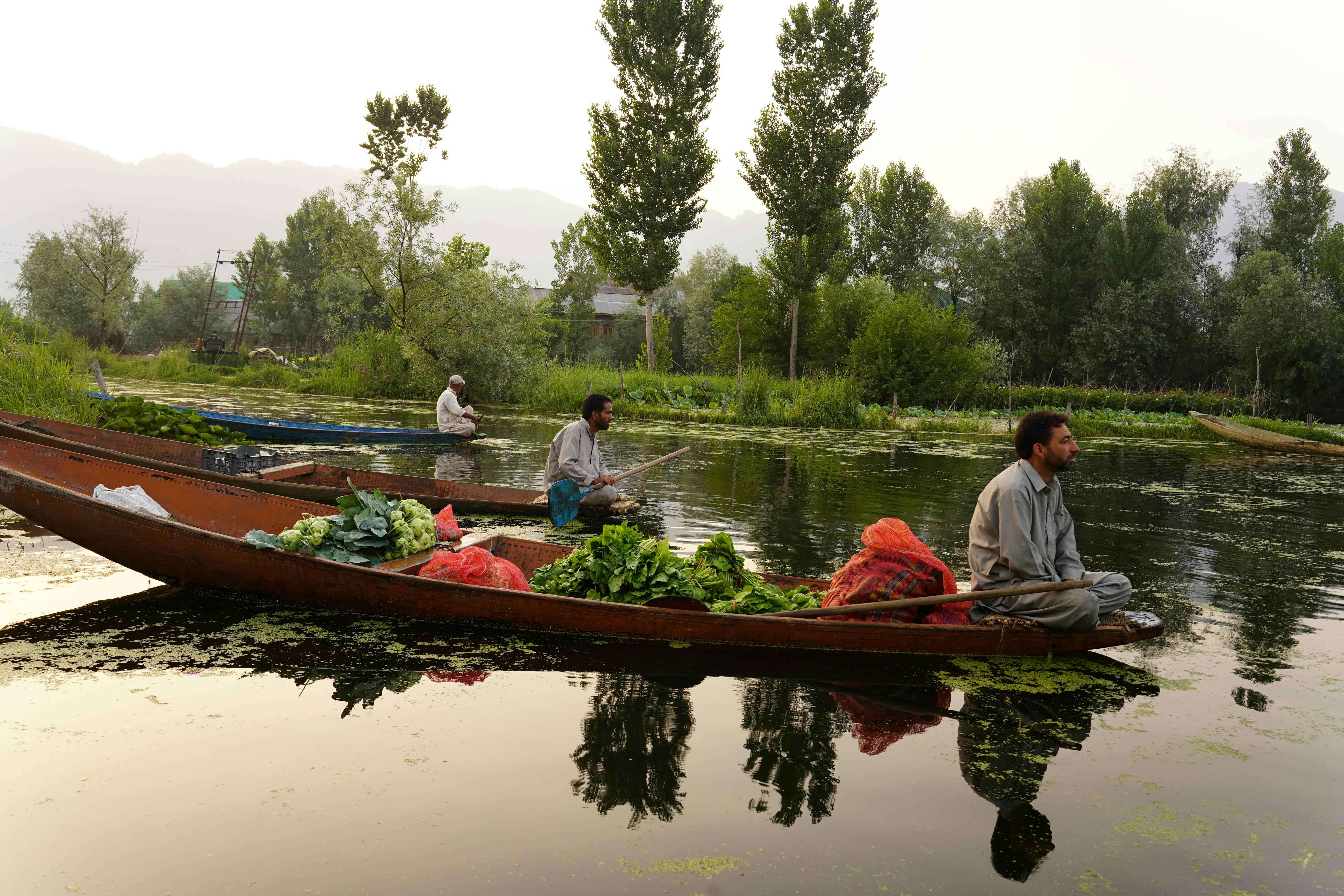 Men Working on Boats · Free Stock Photo