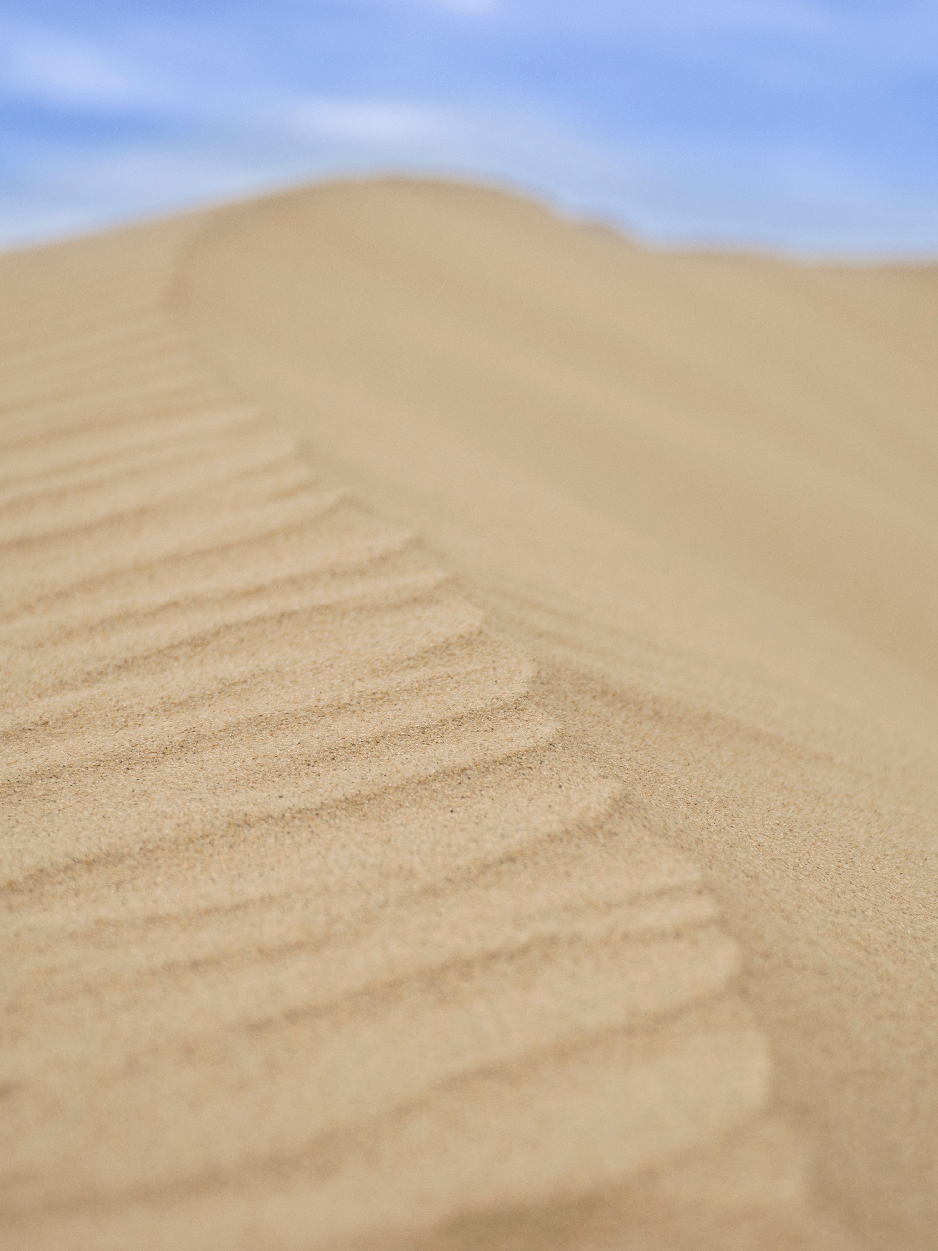 Valiza Photos, Download The BEST Free Valiza Stock Photos & HD Images