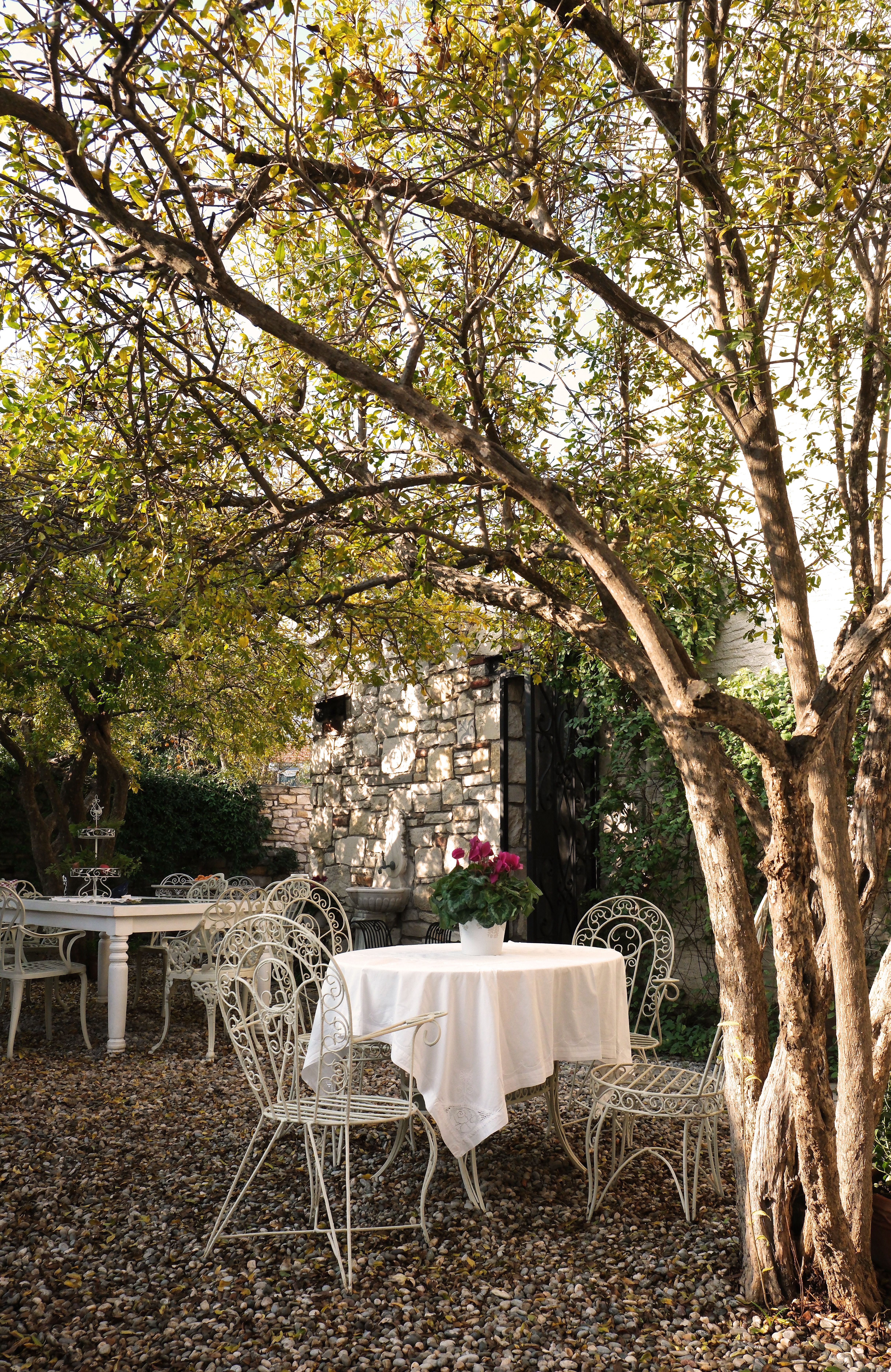 Table and Chairs Near Green Plants · Free Stock Photo