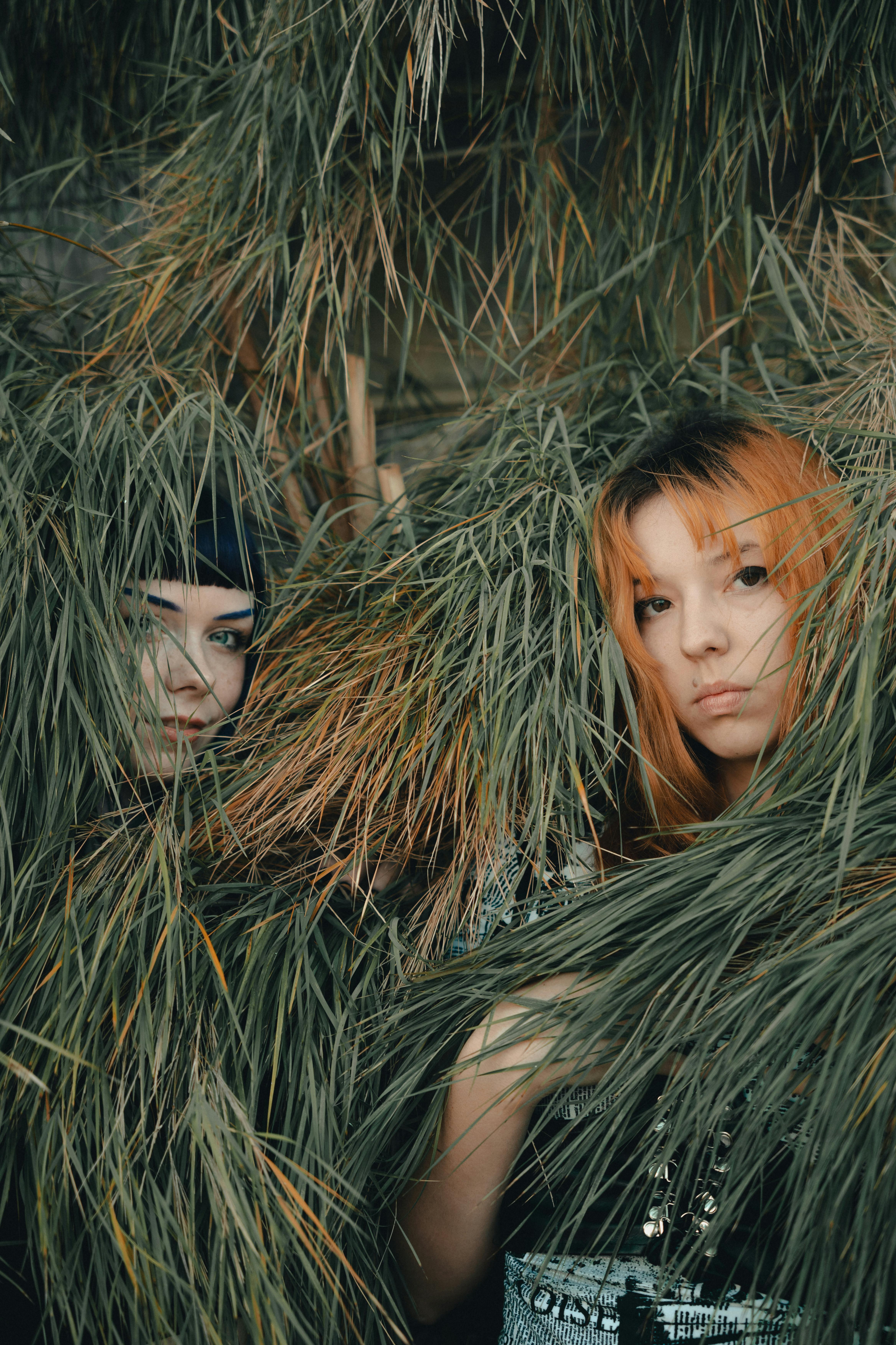 Women Posing with a Bush · Free Stock Photo
