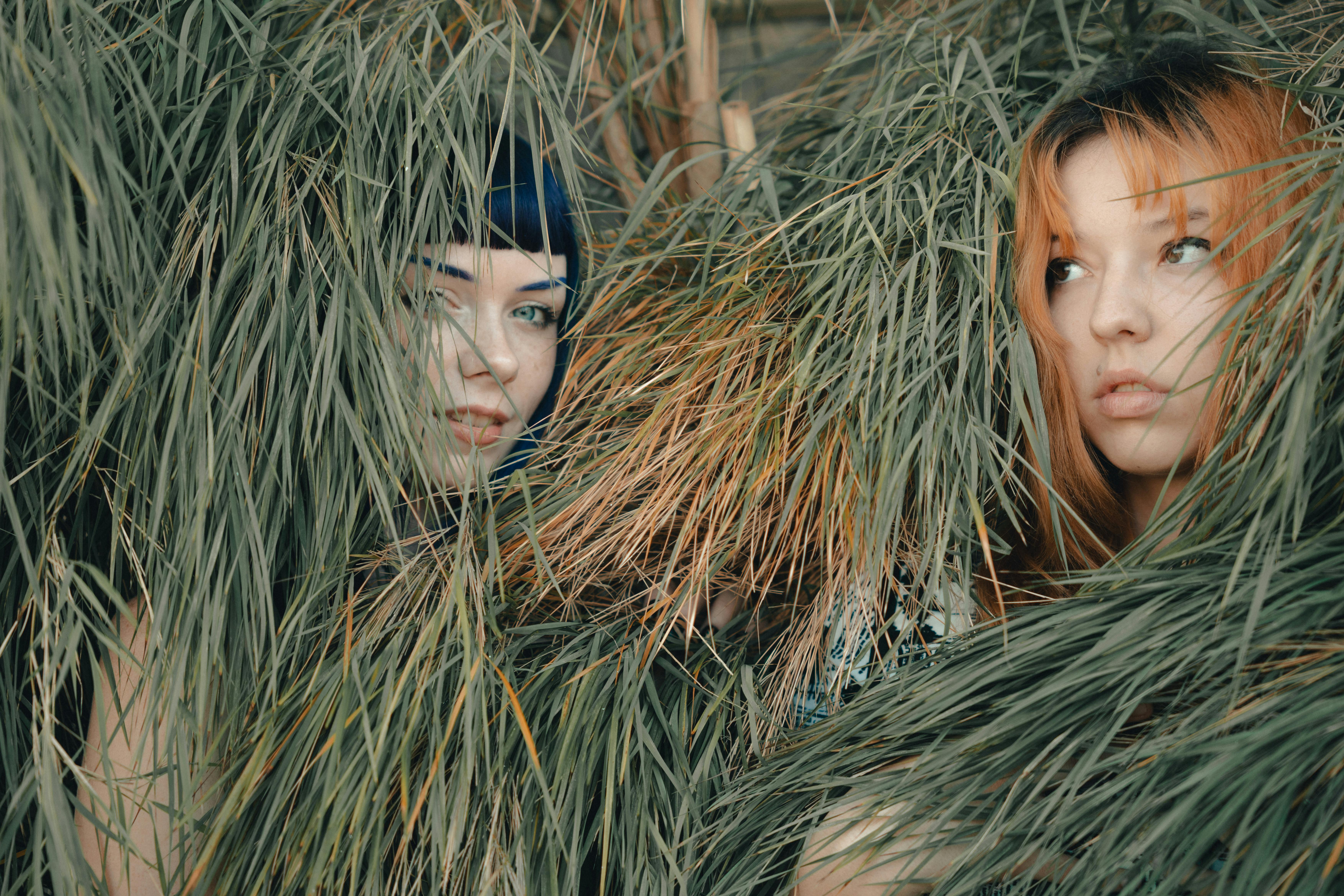 Women Faces Covered with Grasses · Free Stock Photo