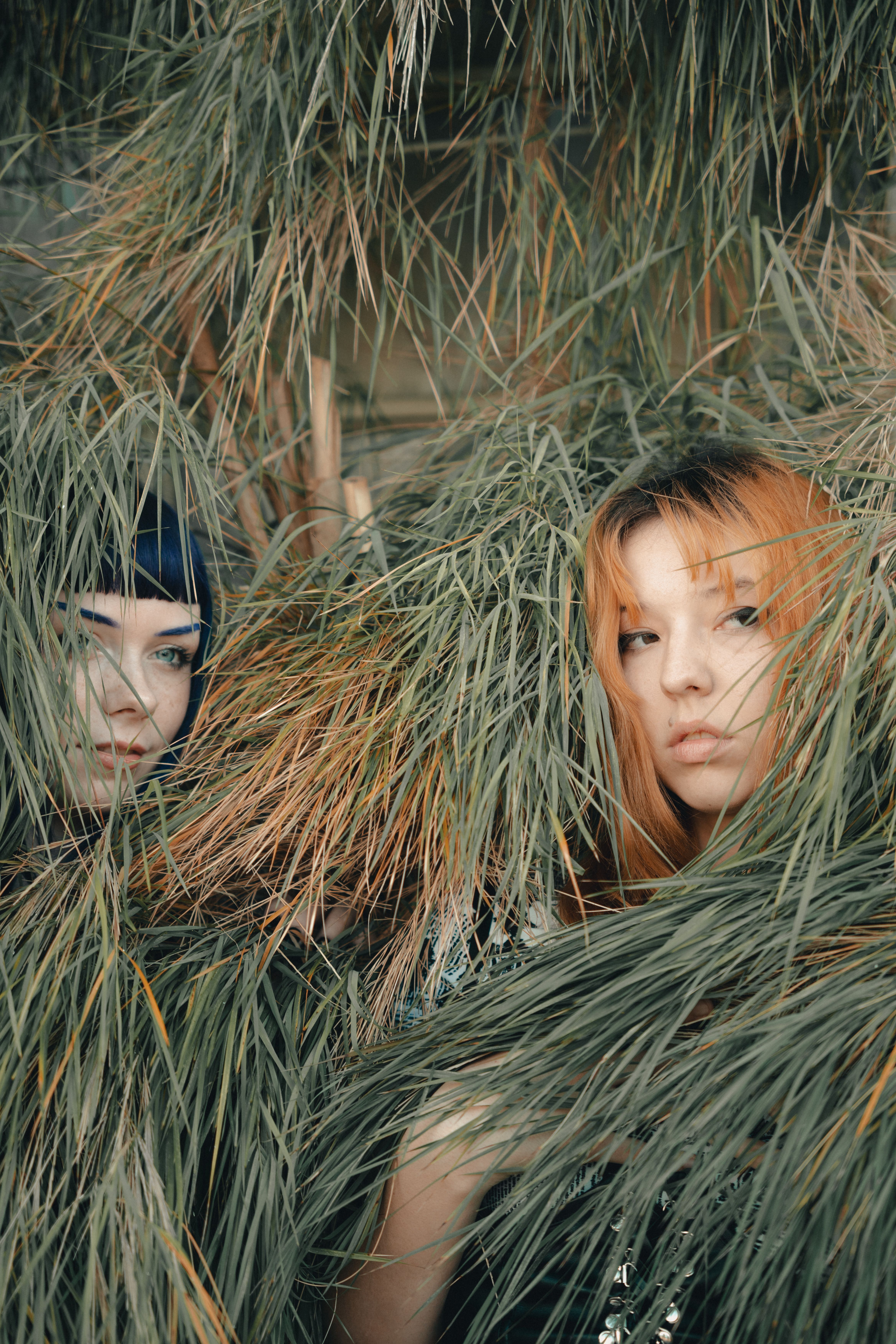 Women Faces in Grasses · Free Stock Photo