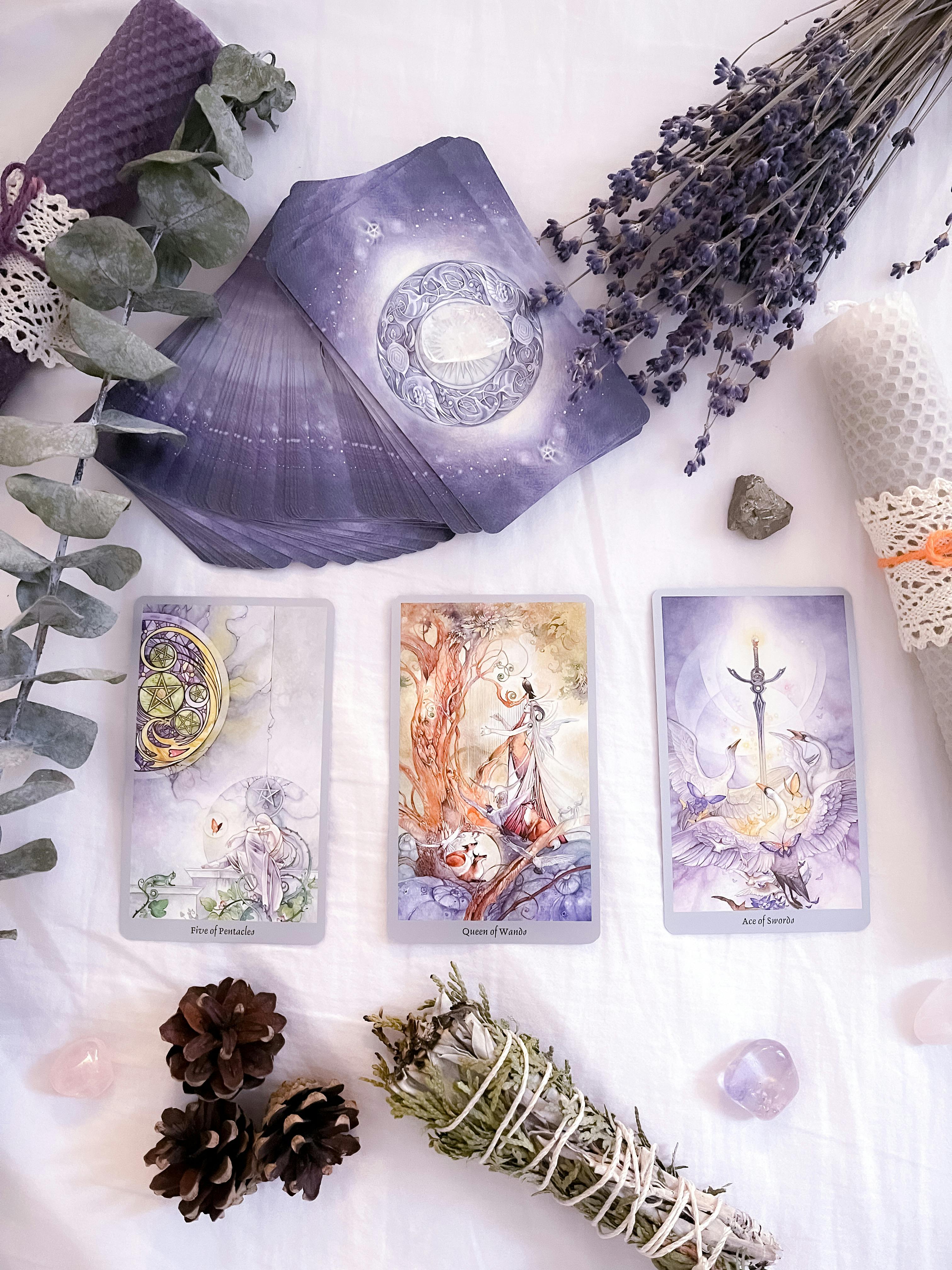 Person Holding a Tarot Card · Free Stock Photo