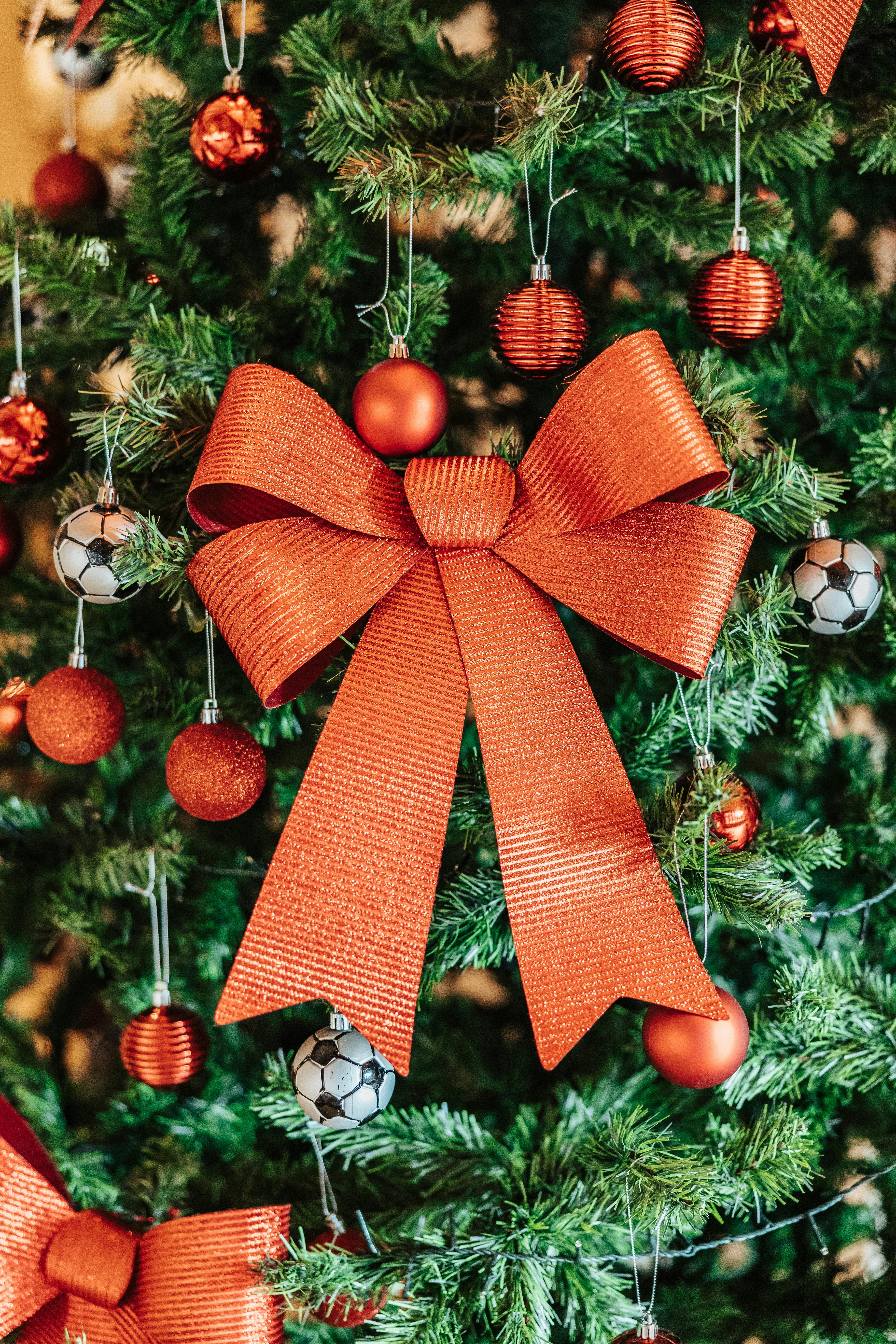 Close-up of a Red Ribbon on a Christmas Tree · Free Stock Photo