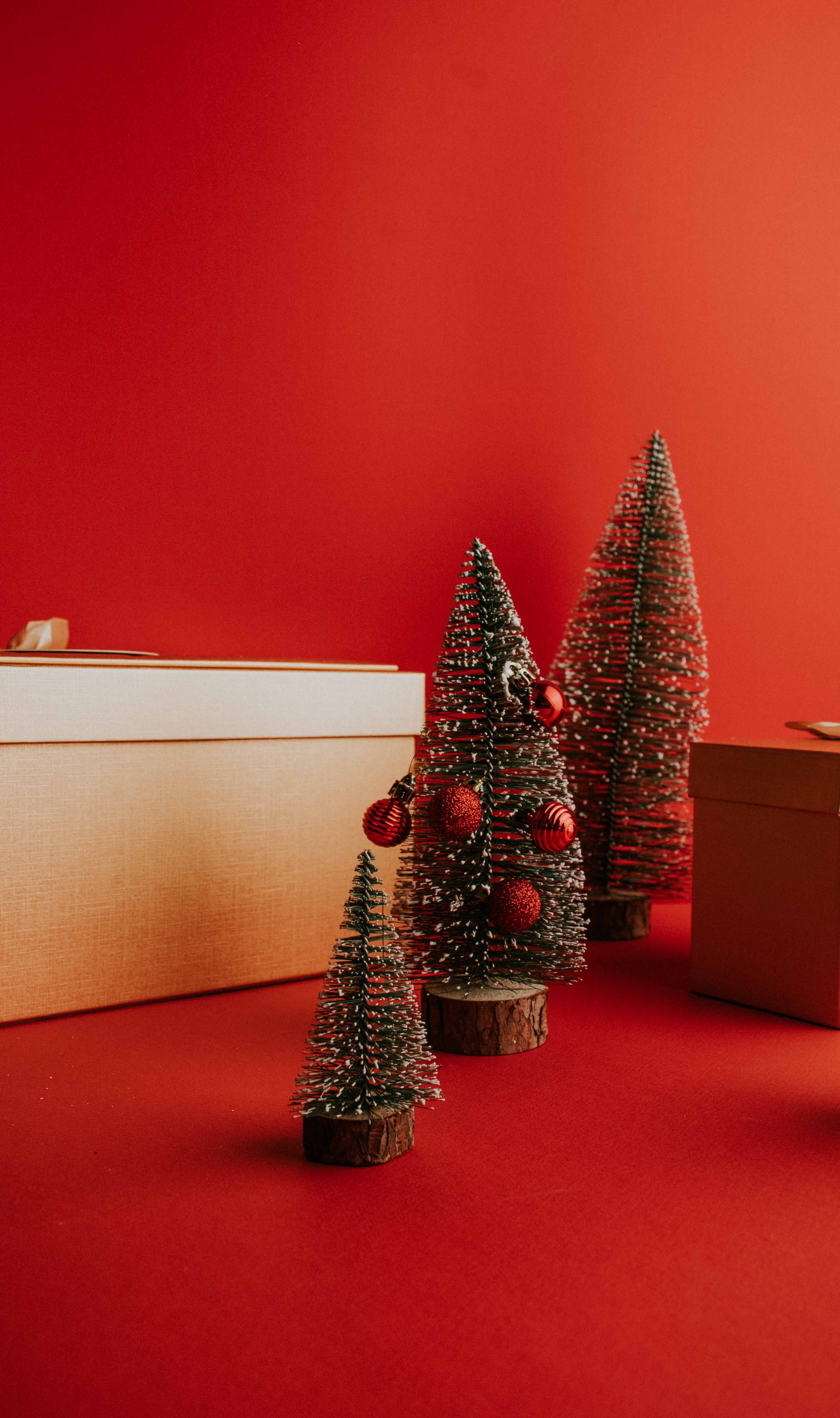 Small Christmas Trees Between Golden Boxes · Free Stock Photo