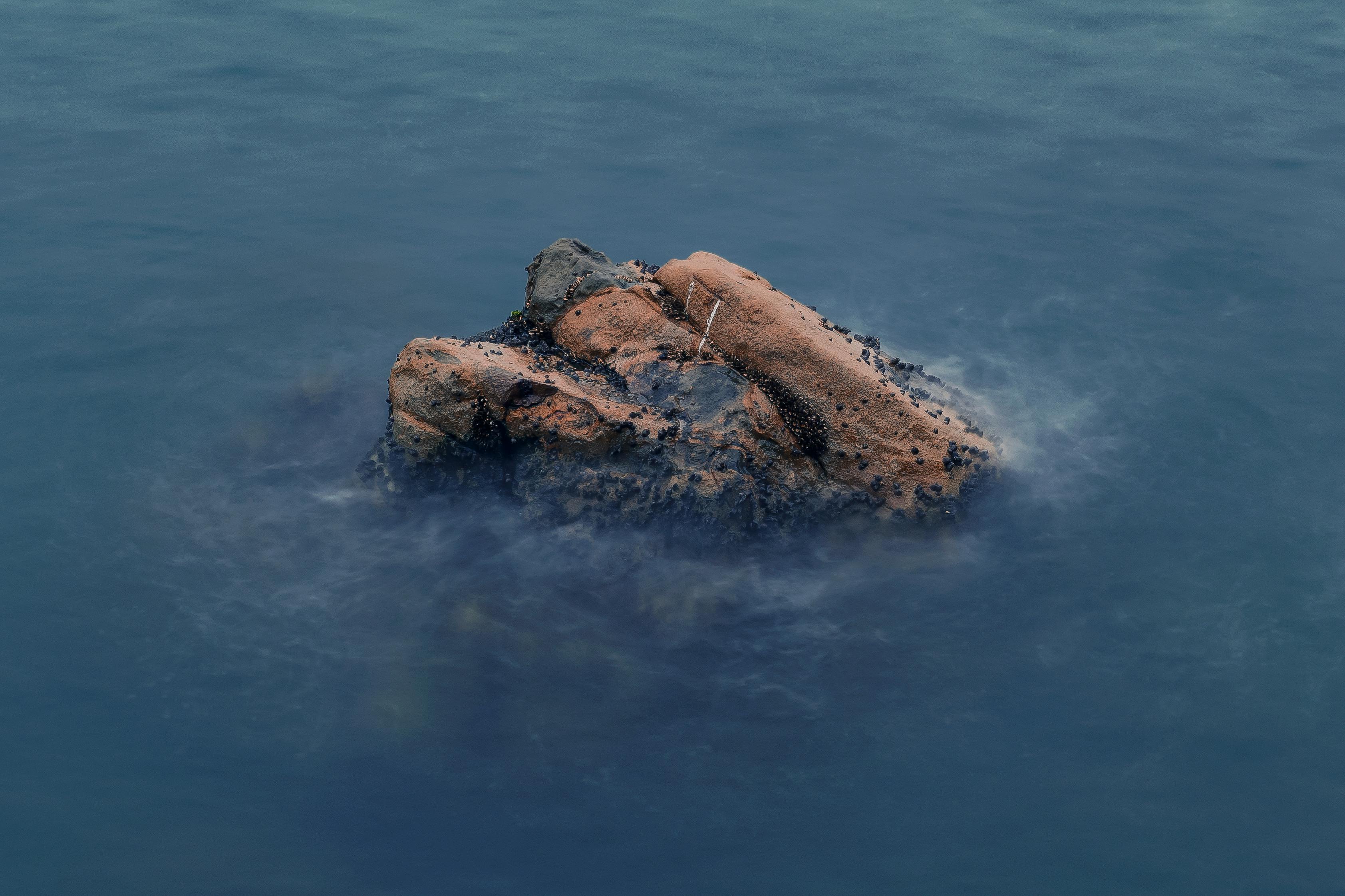 A Rock on the Sea · Free Stock Photo
