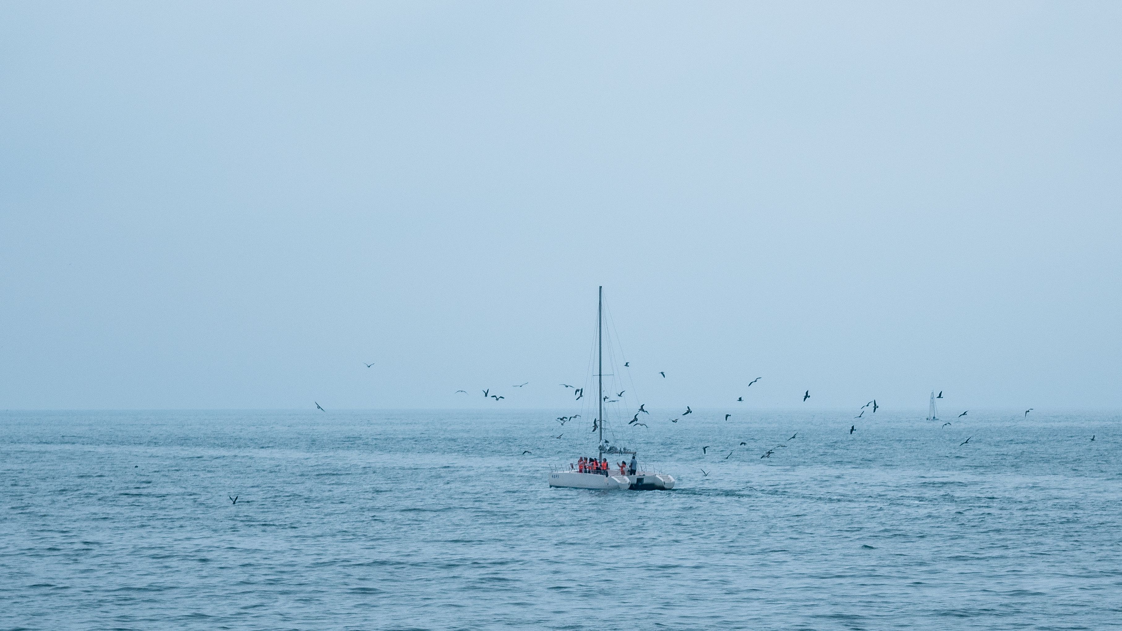 Sailing Iceberg Photos, Download Free Sailing Iceberg Stock Photos & HD ...