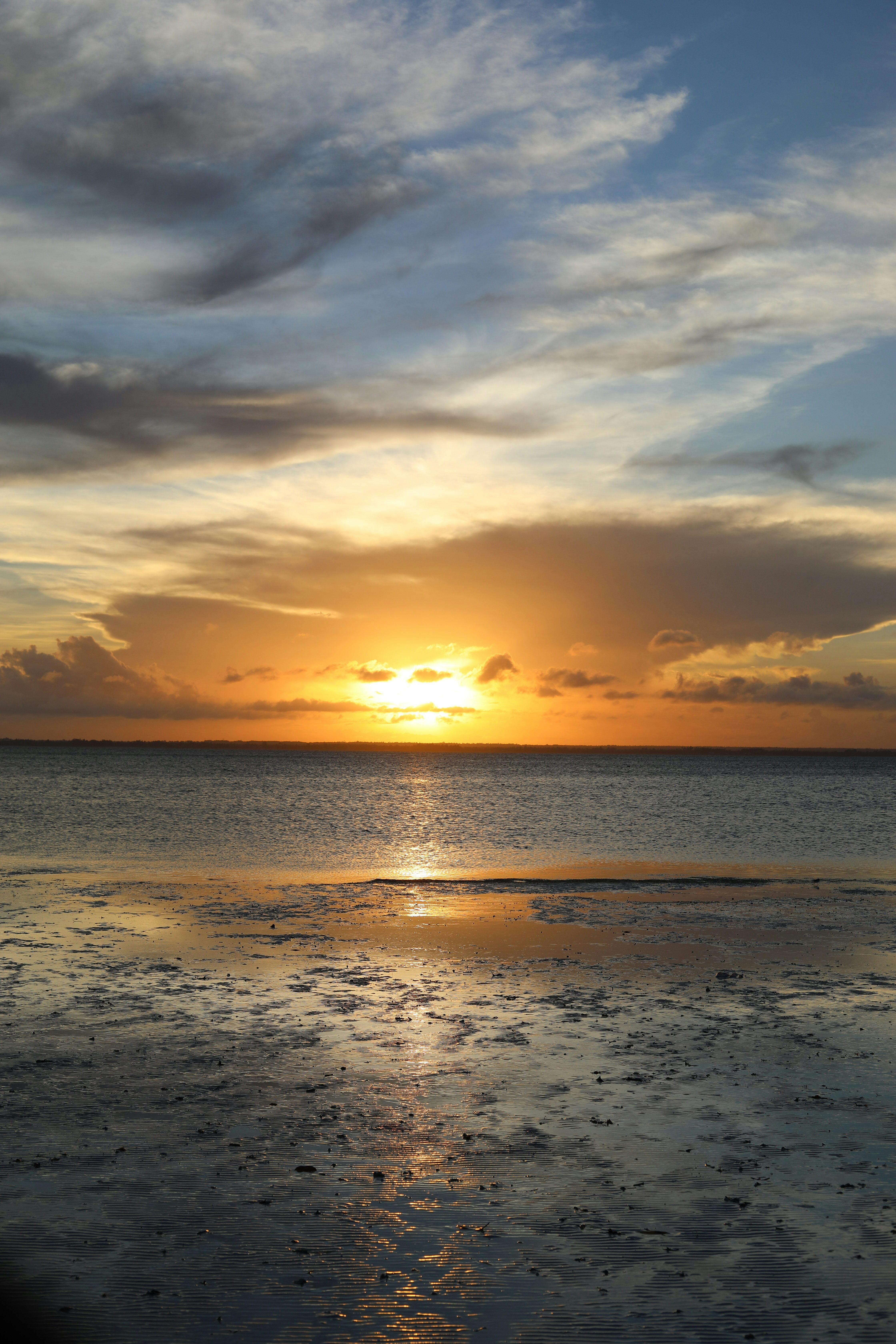 The Golden Hour at the Beach · Free Stock Photo