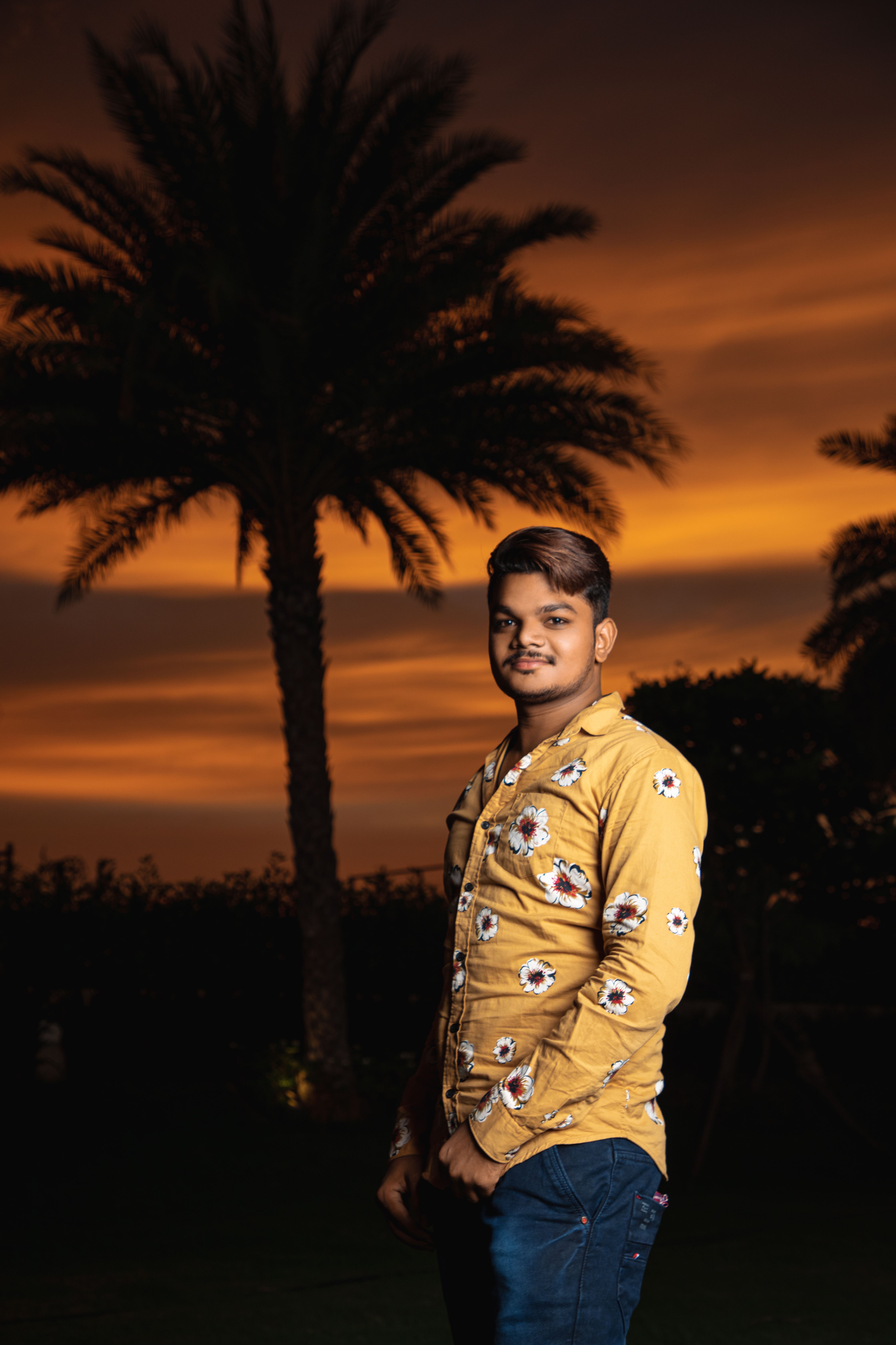 Man Picking Dates from a Date Palm · Free Stock Photo