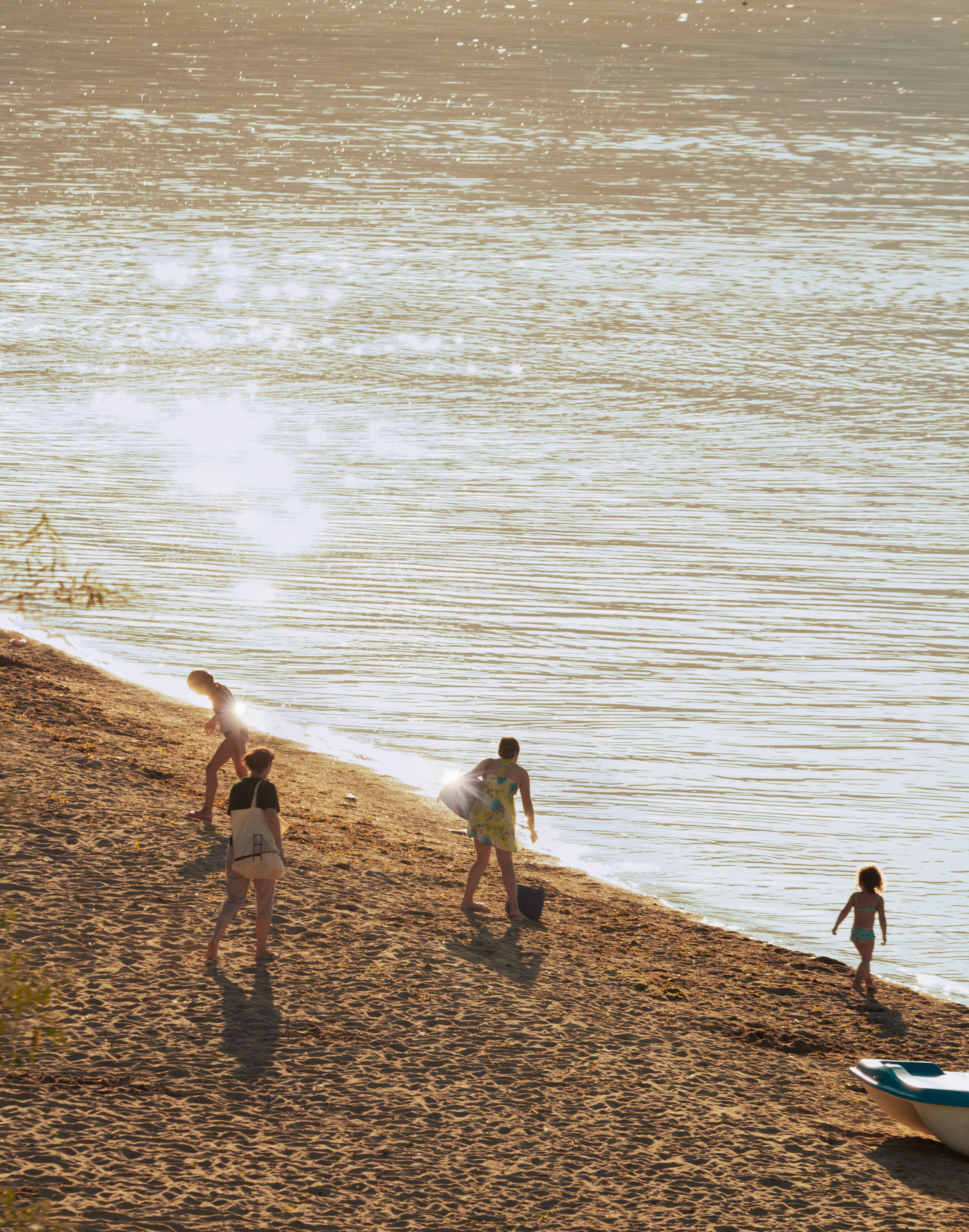 People on a Sunny Beach · Free Stock Photo