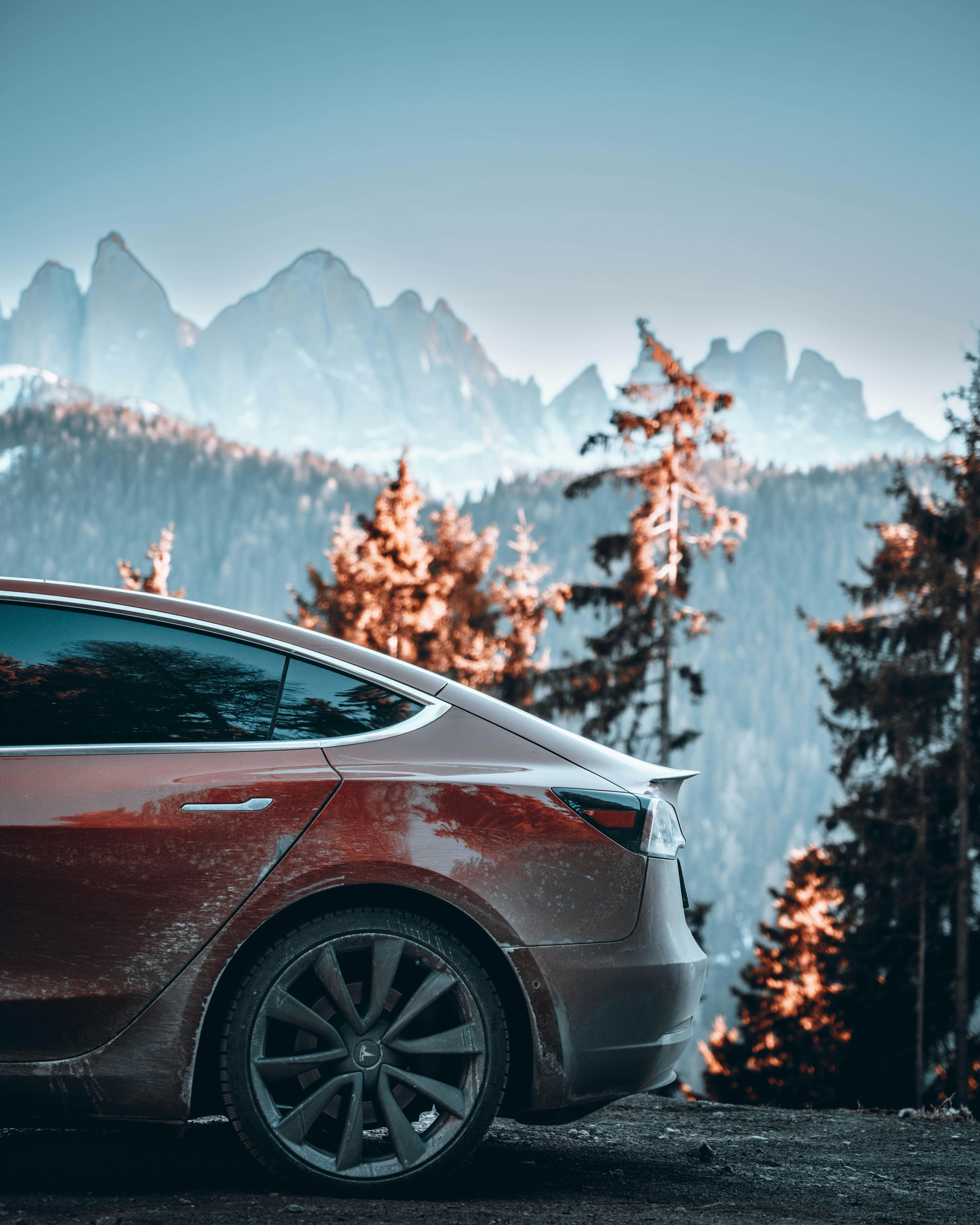 Red Tesla Car Parked near the Tall Trees · Free Stock Photo