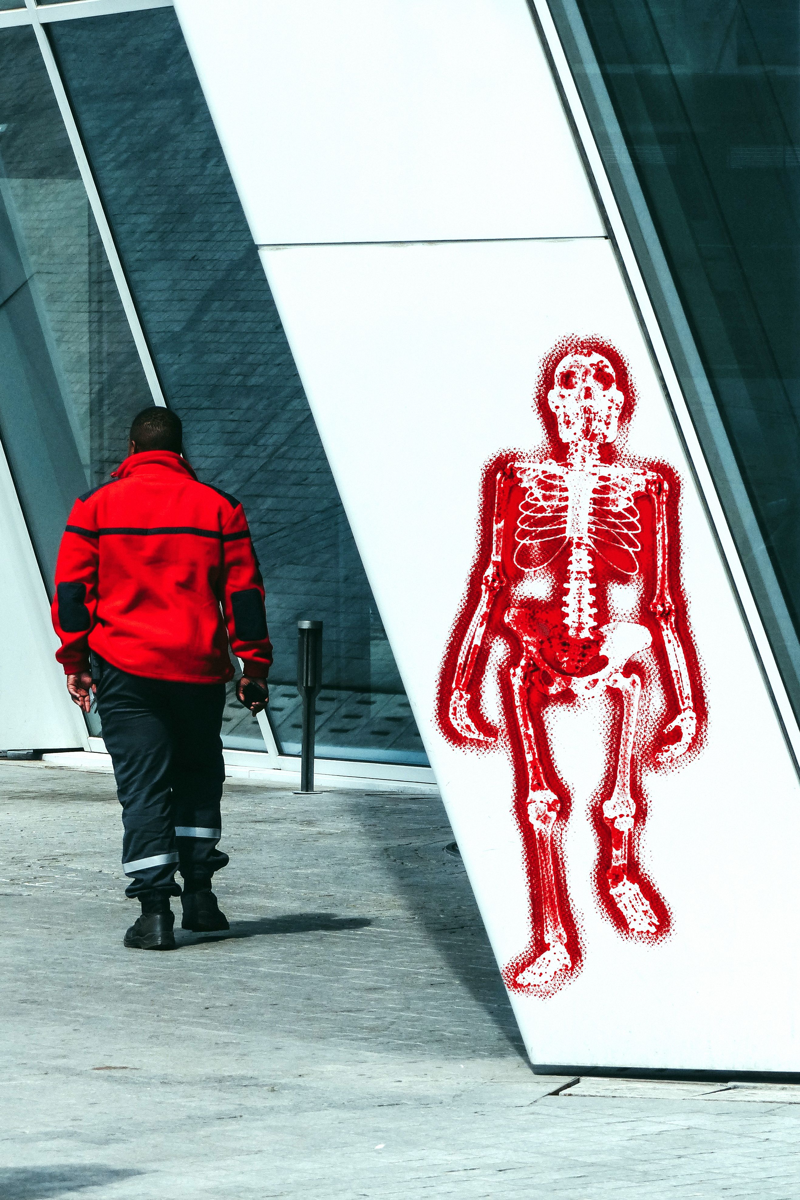 2d Human Photos, Download The BEST Free 2d Human Stock Photos & HD Images