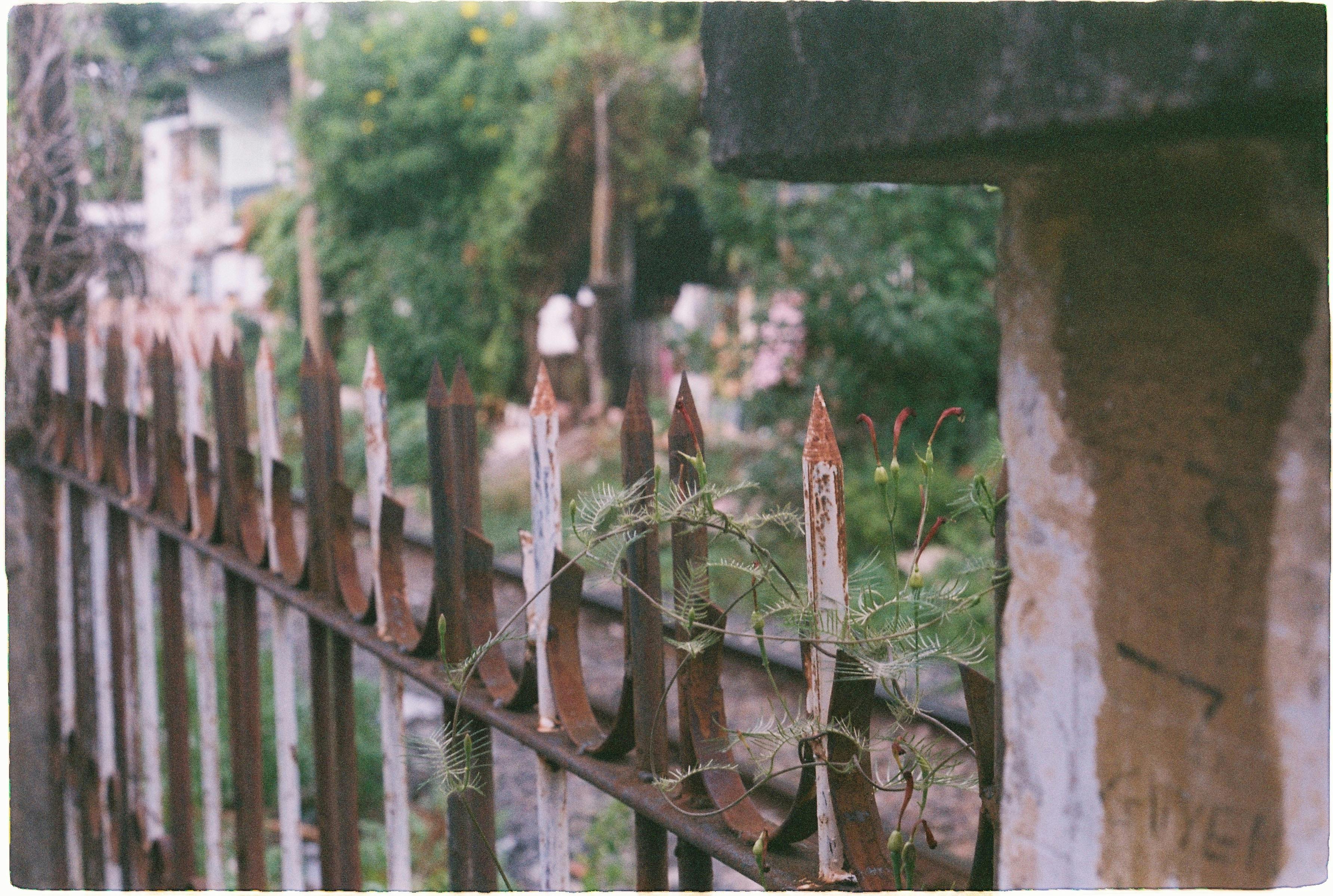 Close-Up Shot of a Metal Railing · Free Stock Photo