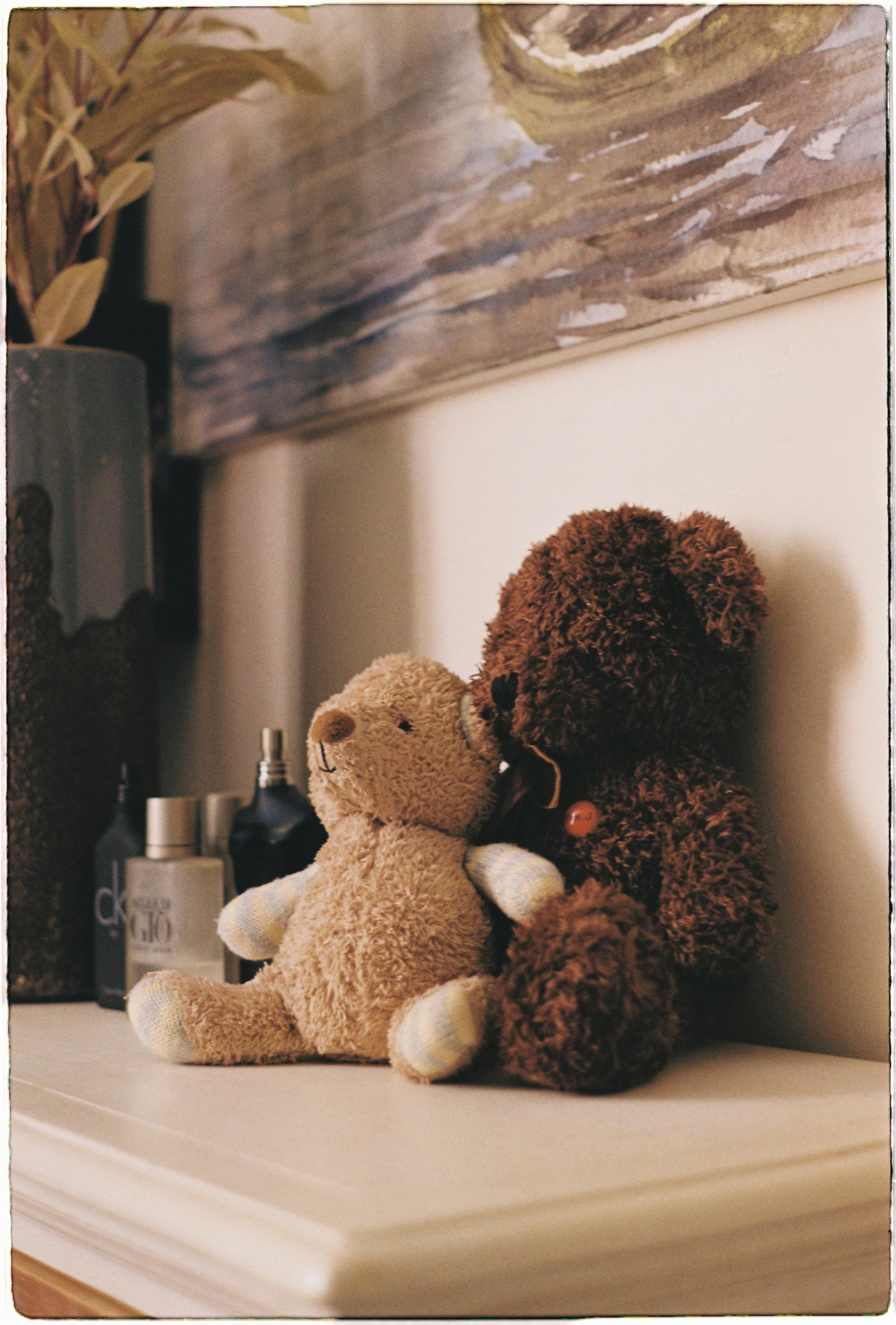 Two Cuddly Teddy Bears · Free Stock Photo