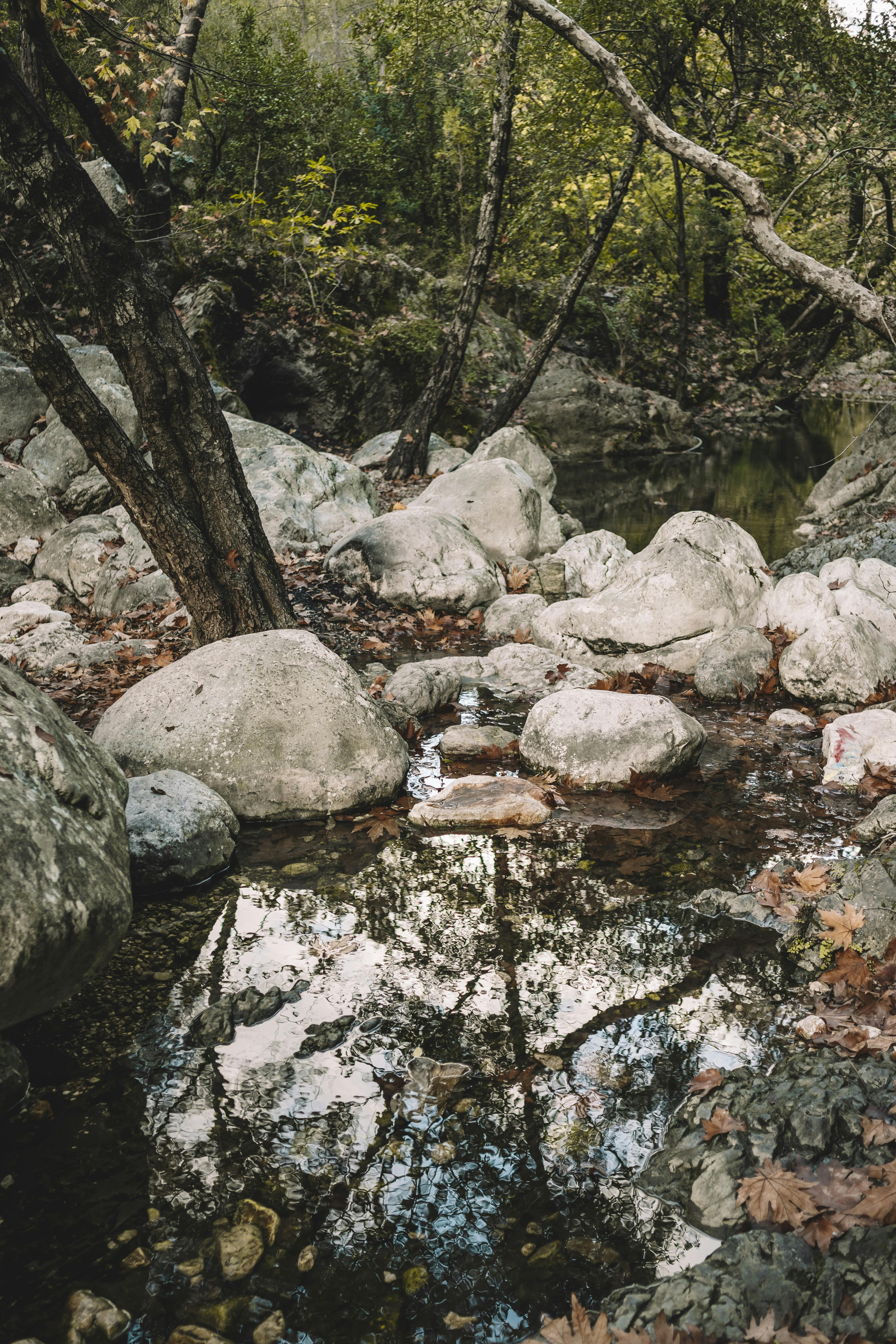 Clear Sky over Mountains and Stream · Free Stock Photo
